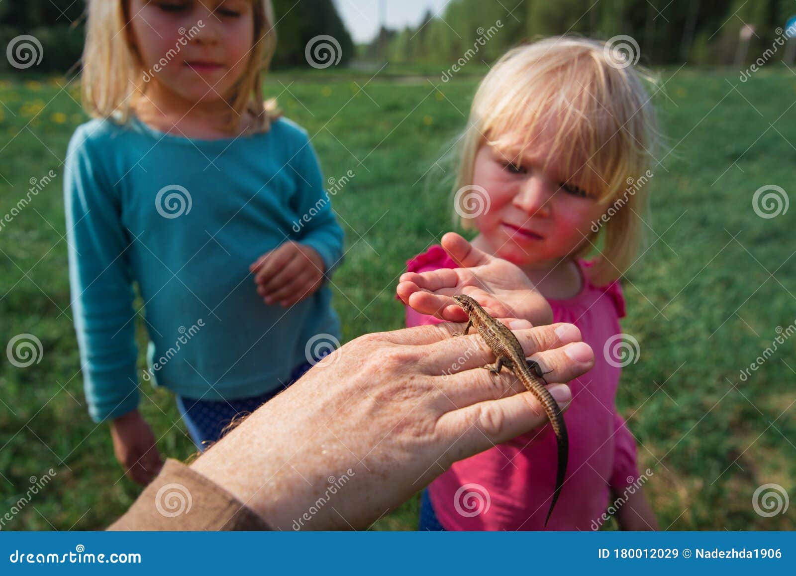 Kids Learning - Kids Looking at and Exploring Lizard in Nature Stock ...