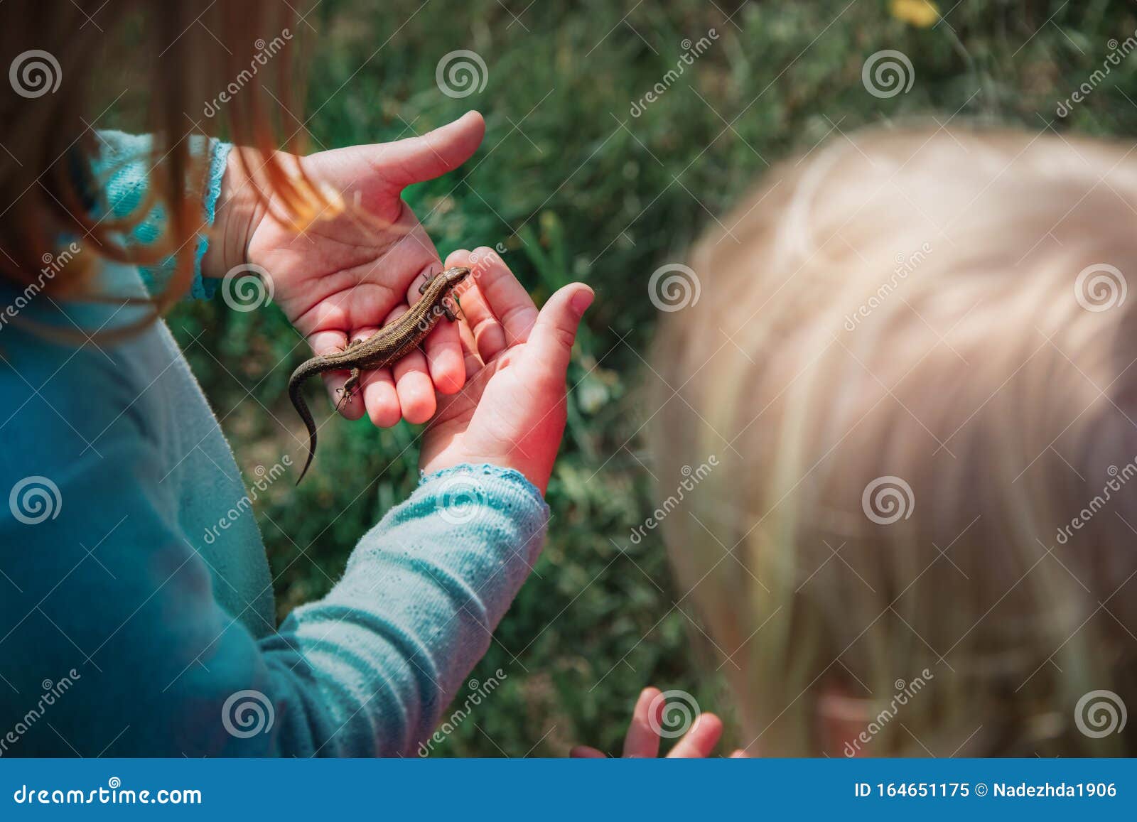 Kids Learning Nature - Kids Holding and Exploring Lizard Stock Image ...