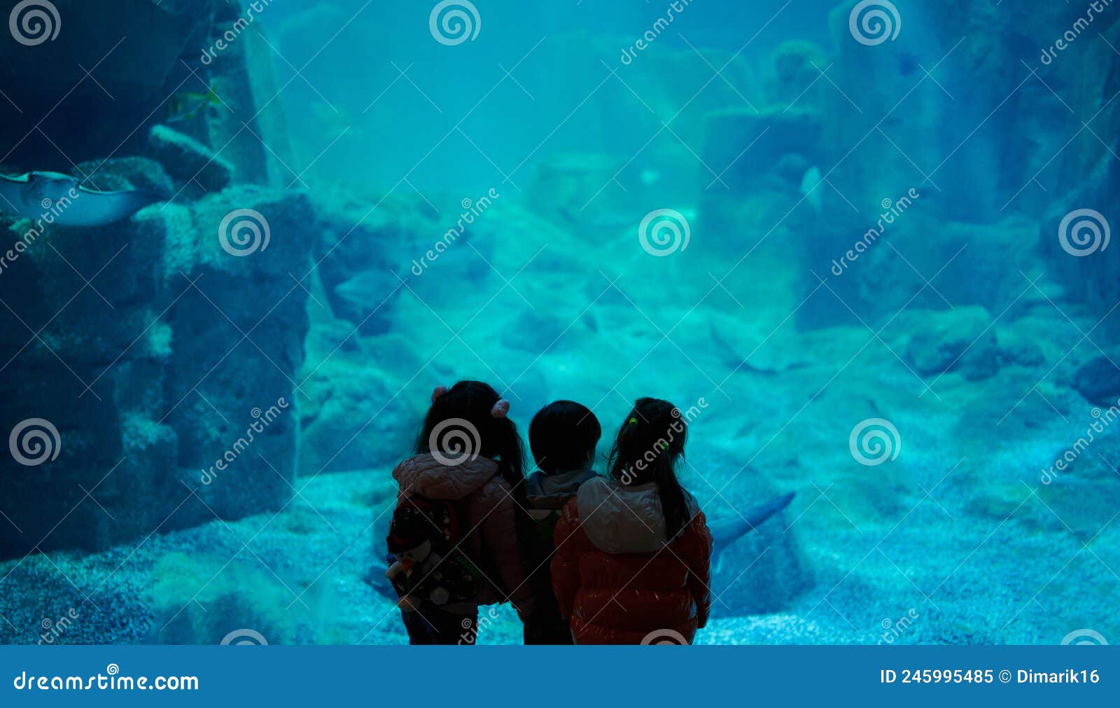 Kids Looking for Fish in Big Aquarium Editorial Image - Image of ...