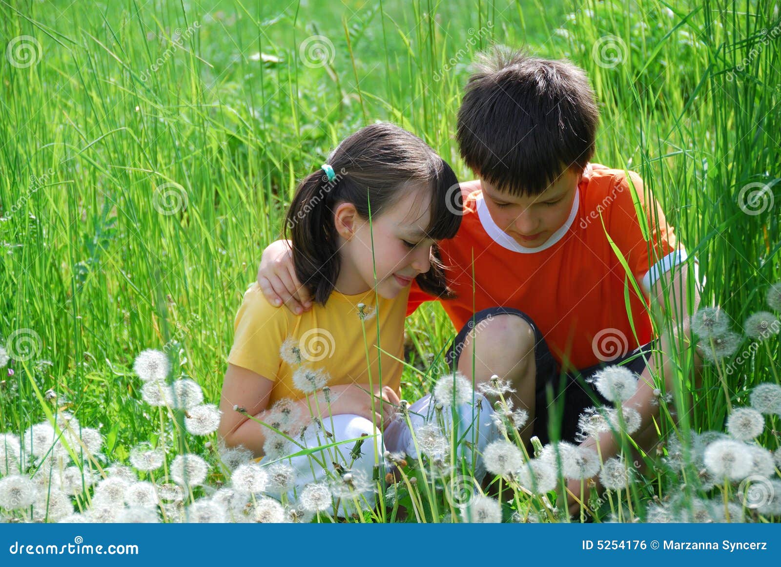Kids in meadow stock photo. Image of caucasian, sister - 5254176