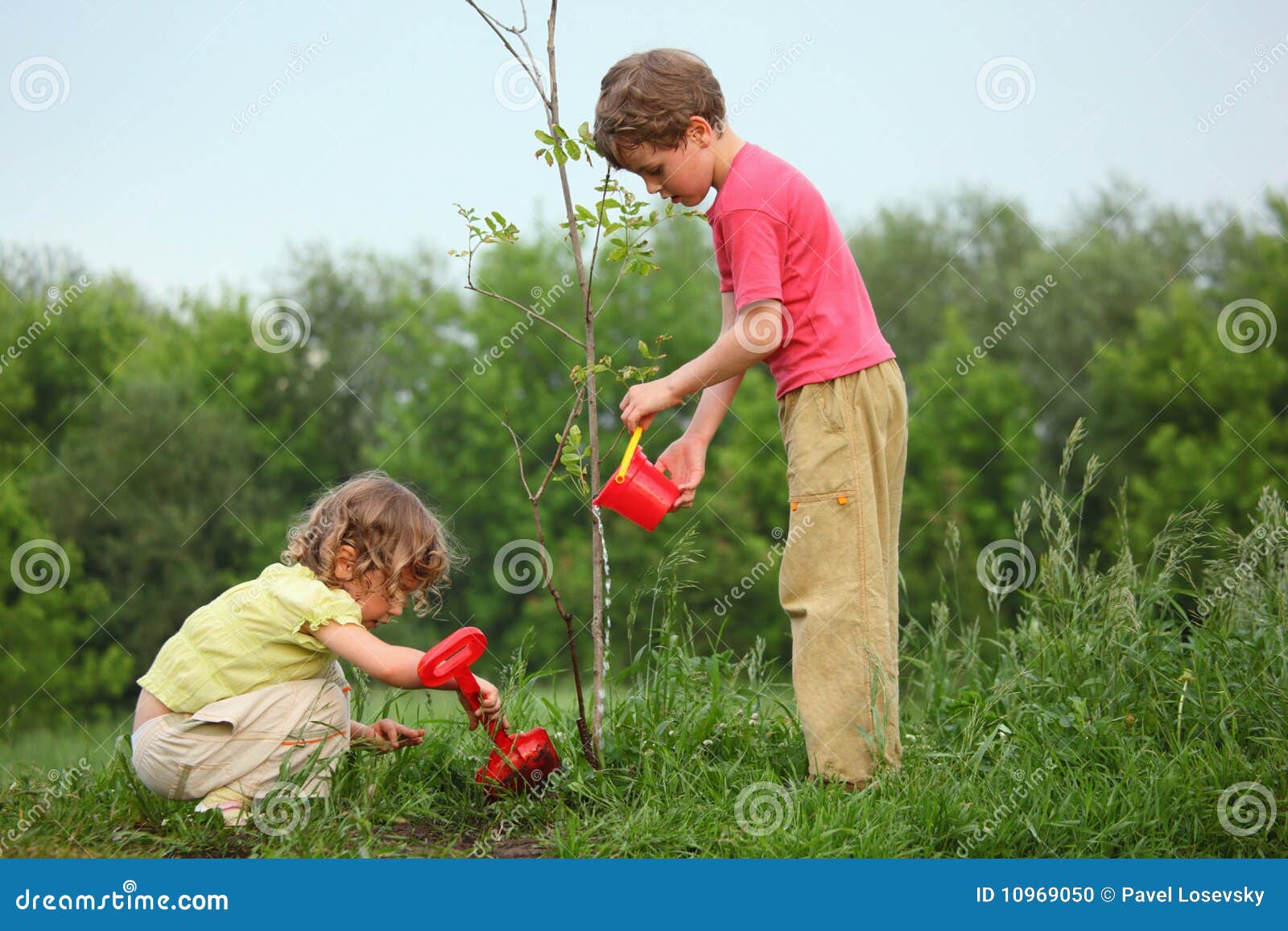 Kids Plant The Tree Stock Photo - Image: 10969050