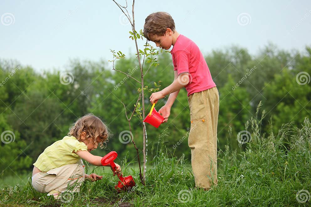 Kids plant the tree stock photo. Image of country, garden - 10969050