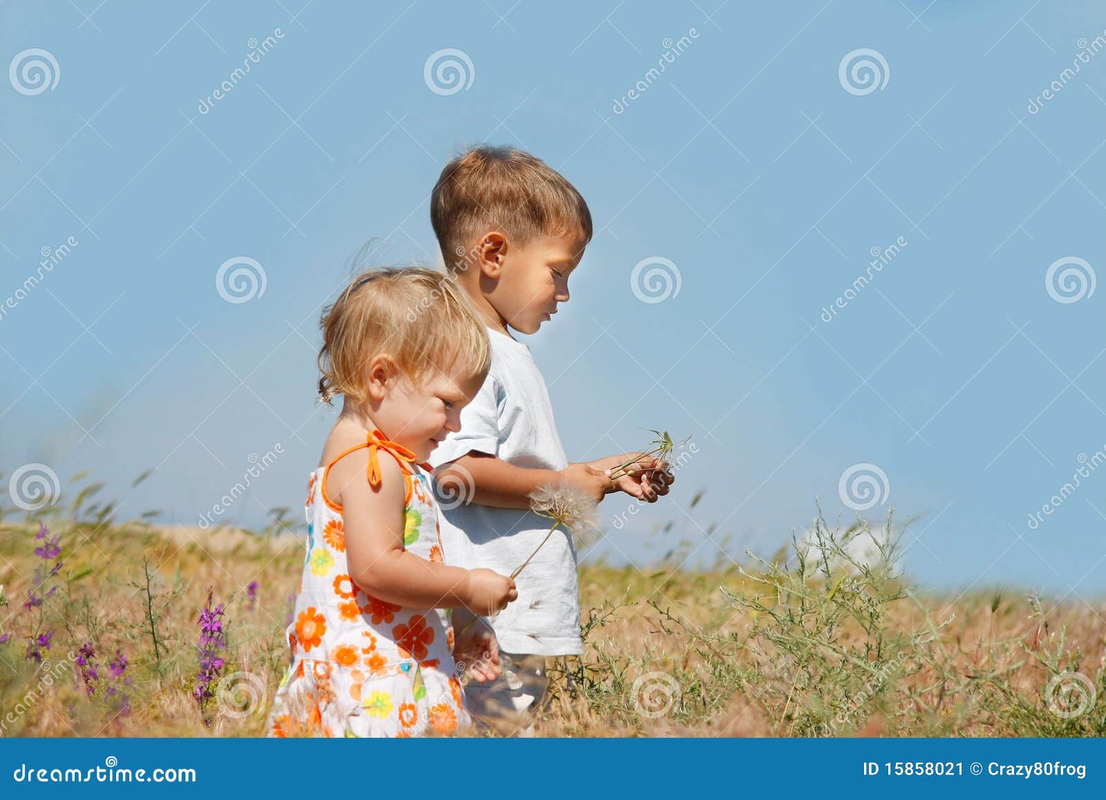 Kids Playing in Countryside Stock Image - Image of lovely, people: 15858021