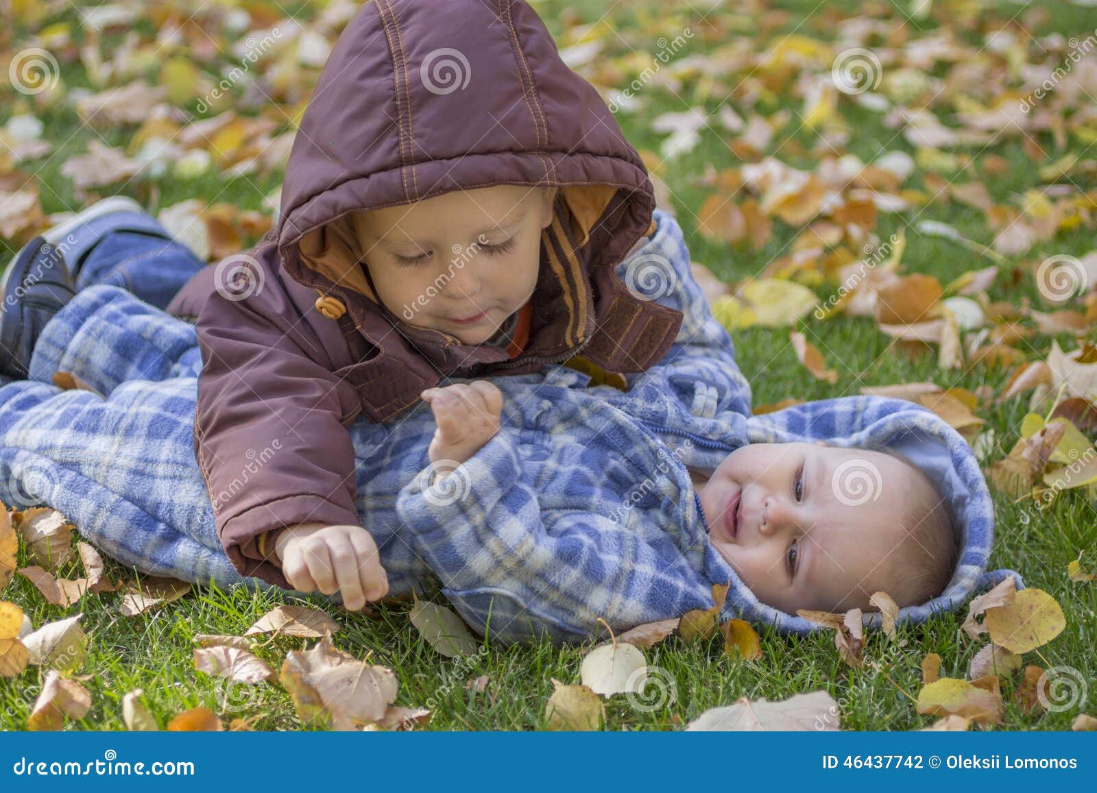 Kids playing on the grass stock photo. Image of kids - 46437742