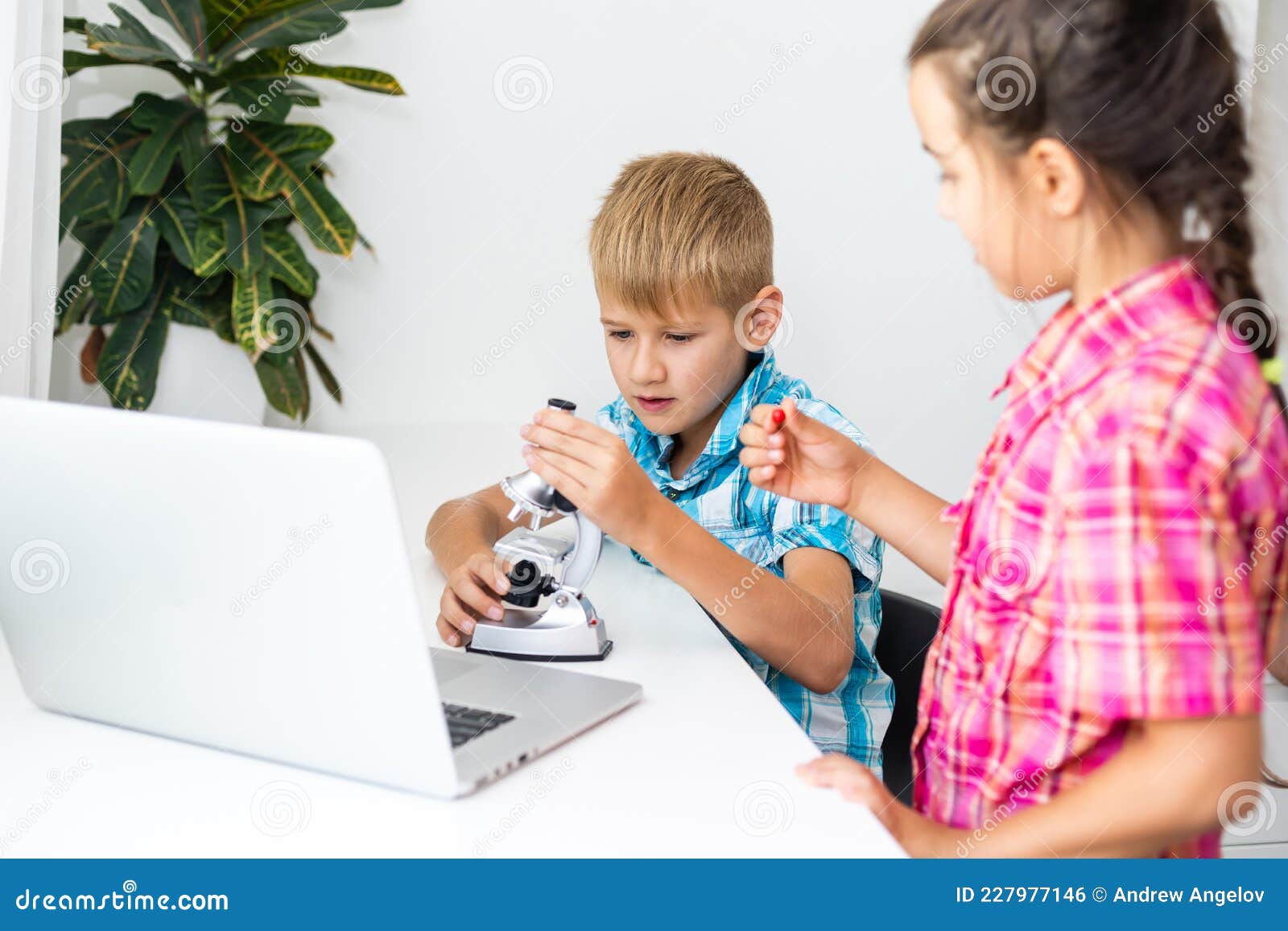 Kids Playing with Laptop Computer at Home Stock Photo - Image of laying ...