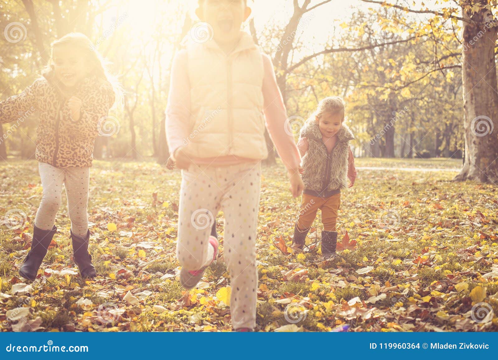 Kids playing on meadow. stock photo. Image of activity - 119960364