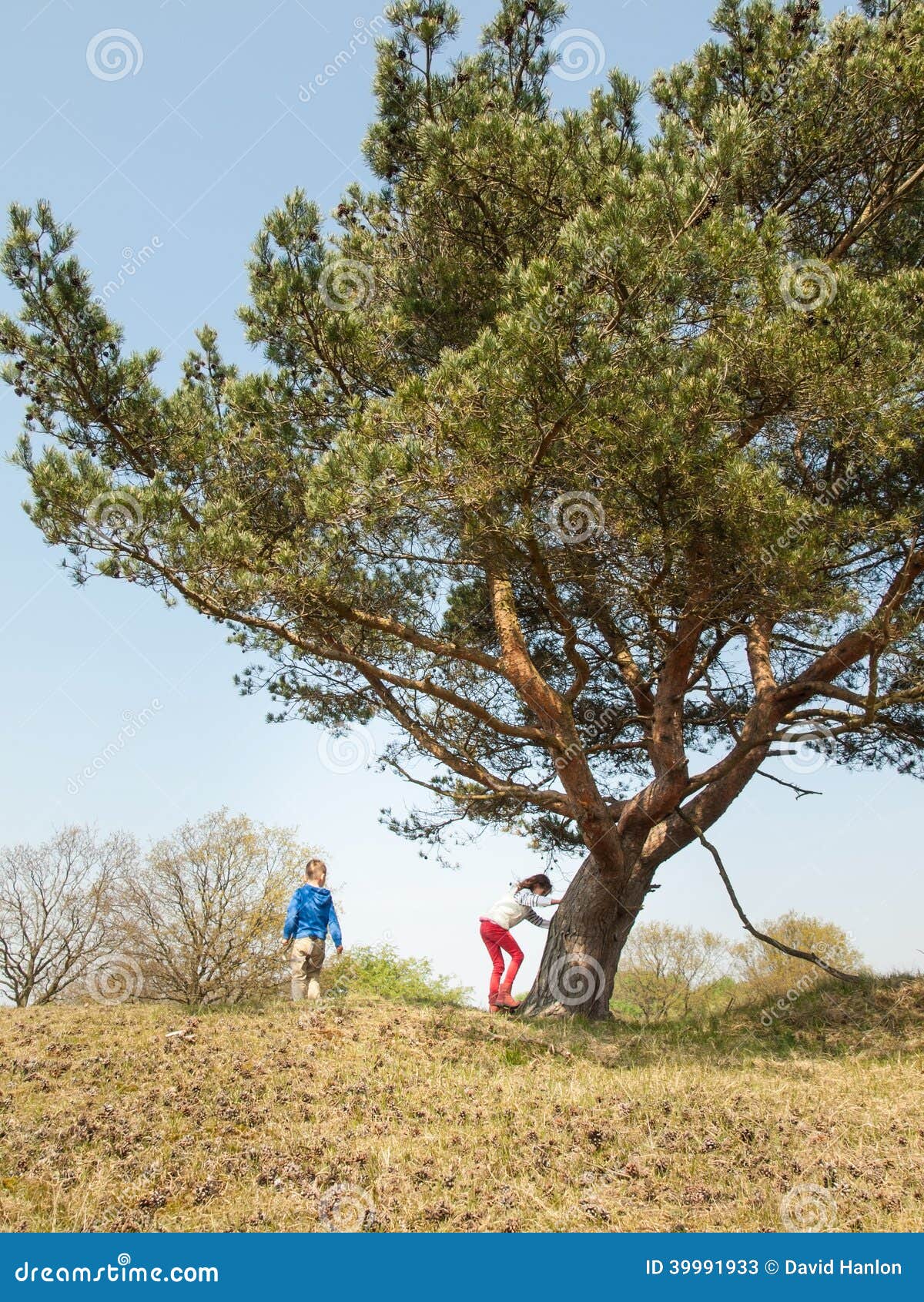 Kids Playing Next To a Tree Stock Image - Image of playing, small: 39991933