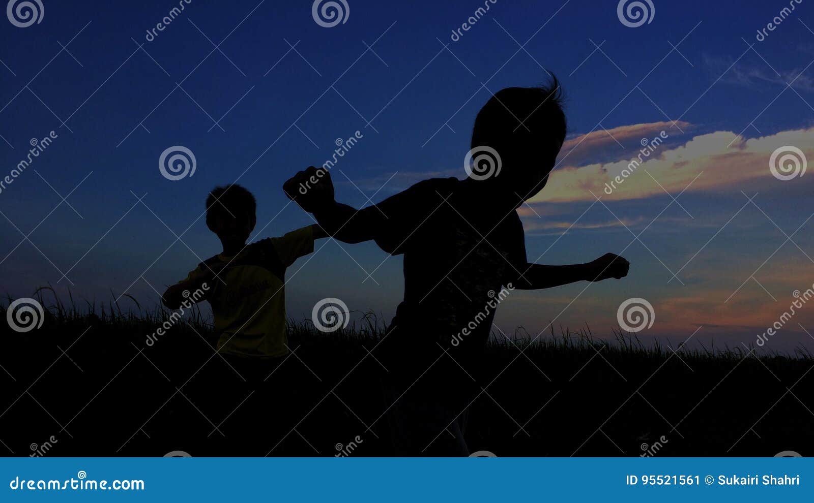 Kids stock image. Image of kids, sunset, paddy, fields - 95521561