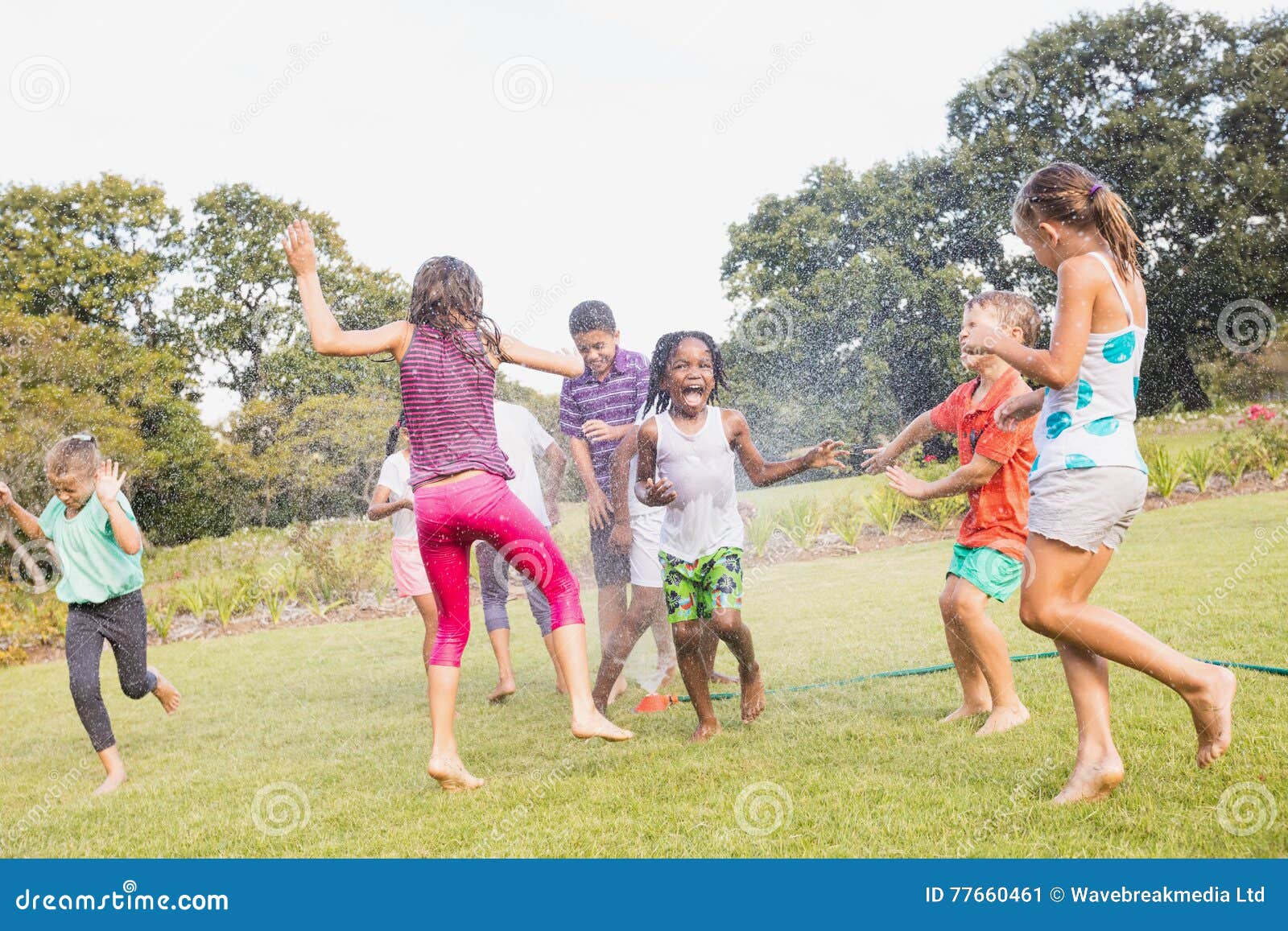 Kids Playing Together during a Sunny Day Stock Image - Image of amusing ...