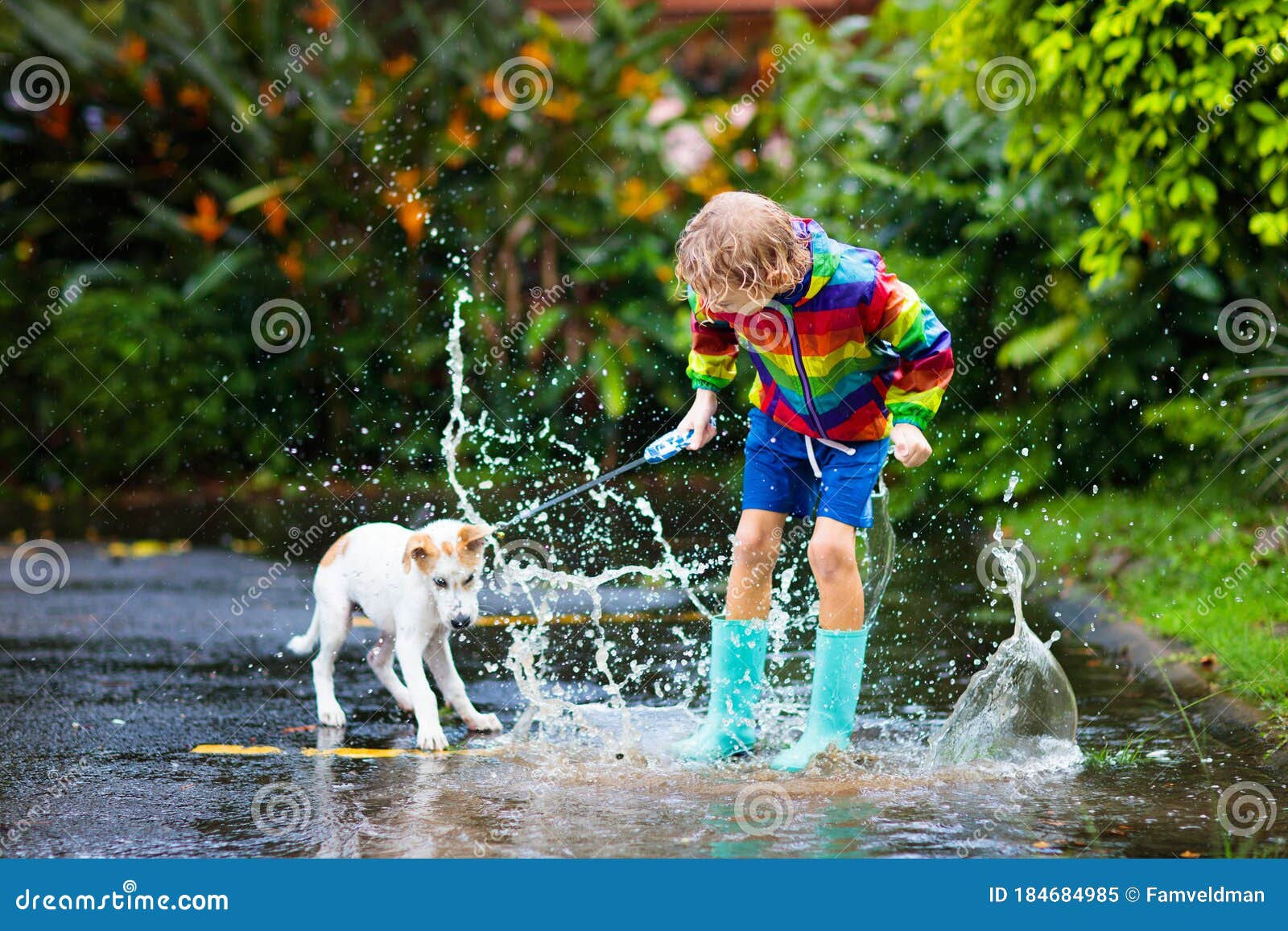 Kids in Puddle in Autumn Rain. Waterproof Wear Image stock - Image du ...