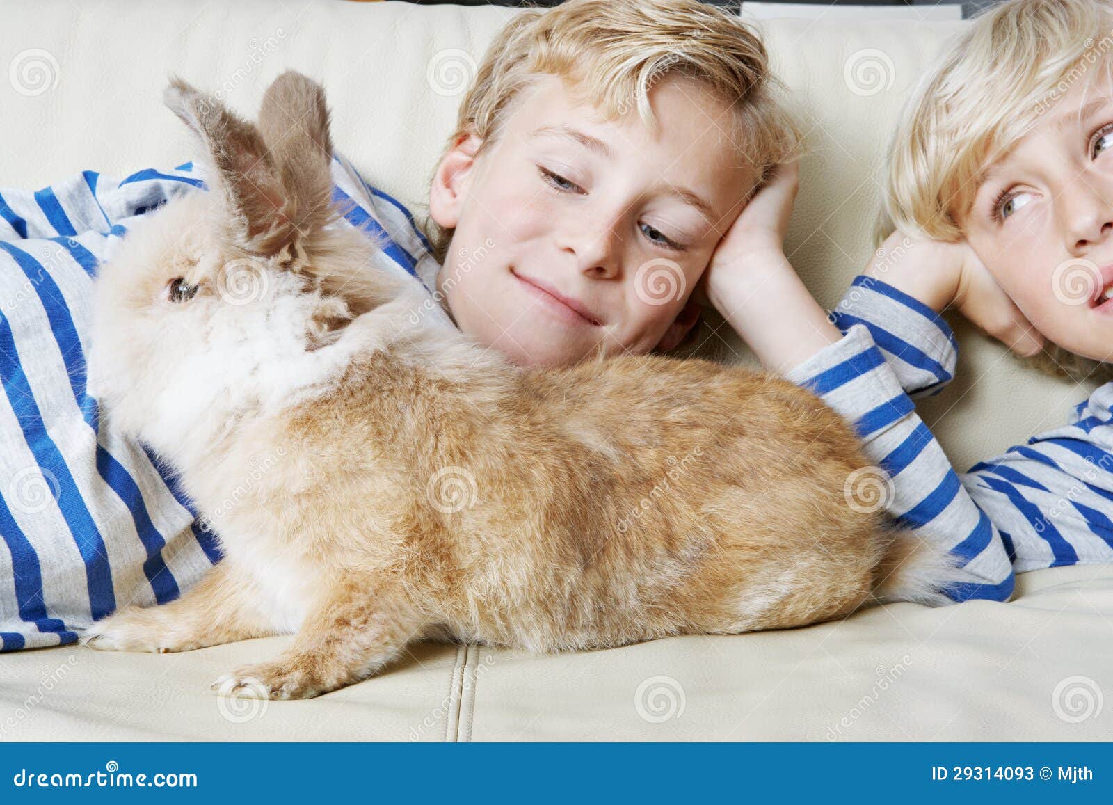 Kids with rabbit at home. stock image. Image of interior - 29314093