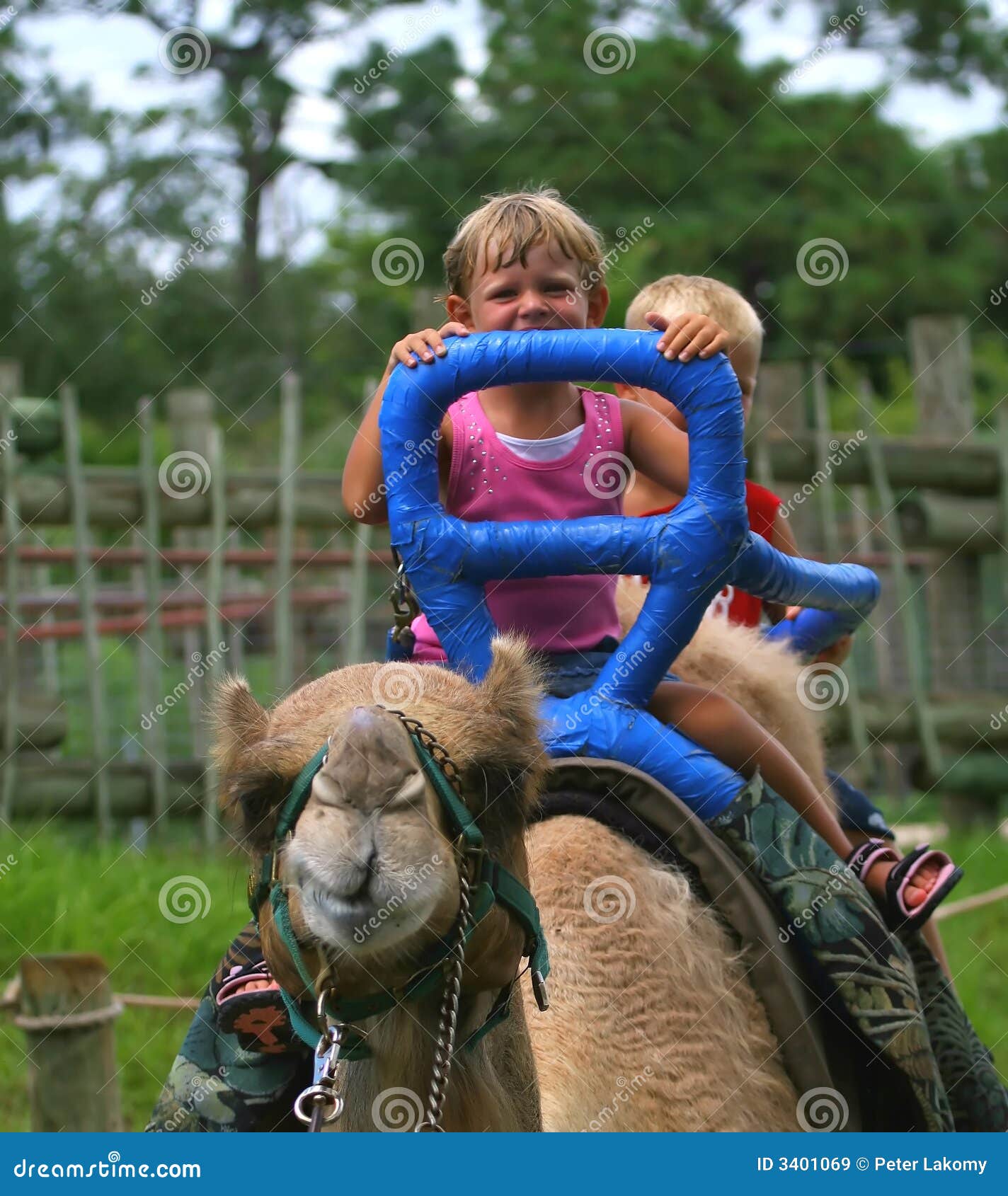 Kids riding on the camel stock image. Image of dromedary - 3401069