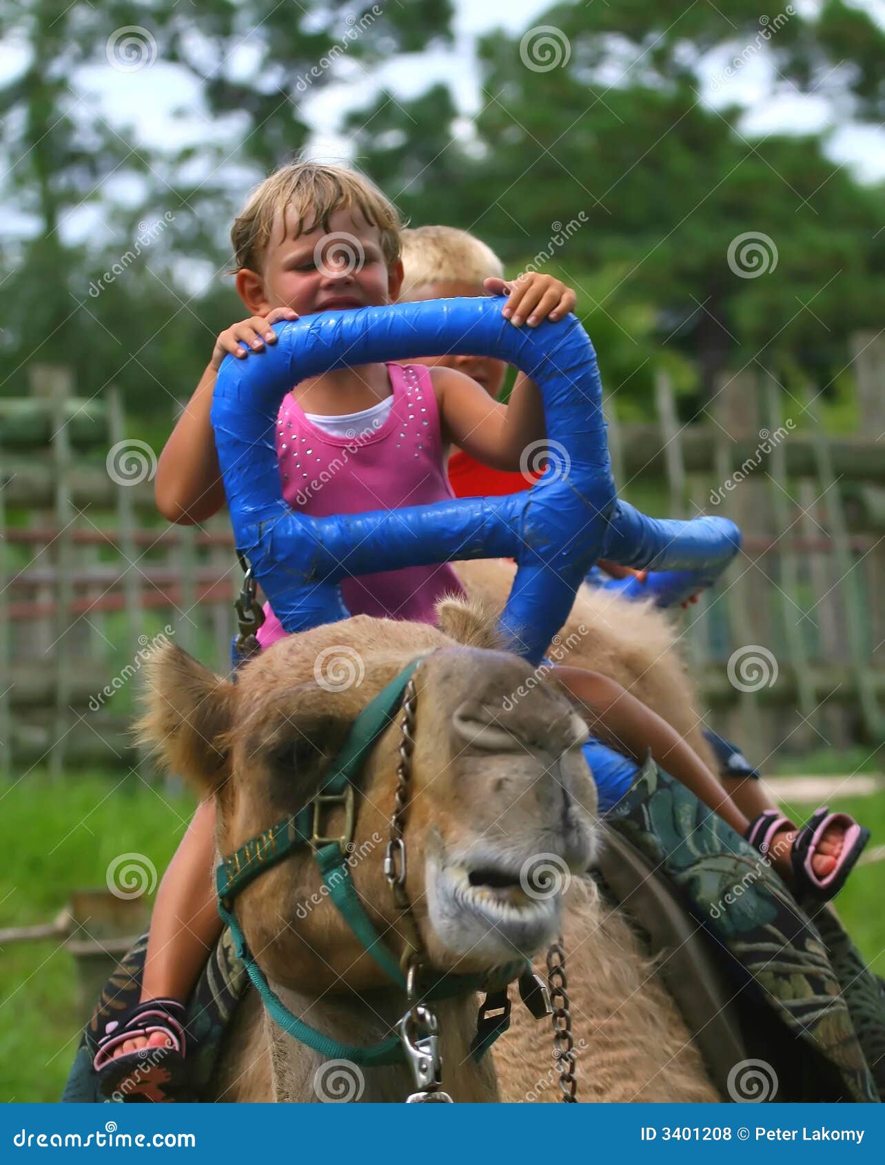 Kids riding on the camel stock photo. Image of hair, coat - 3401208