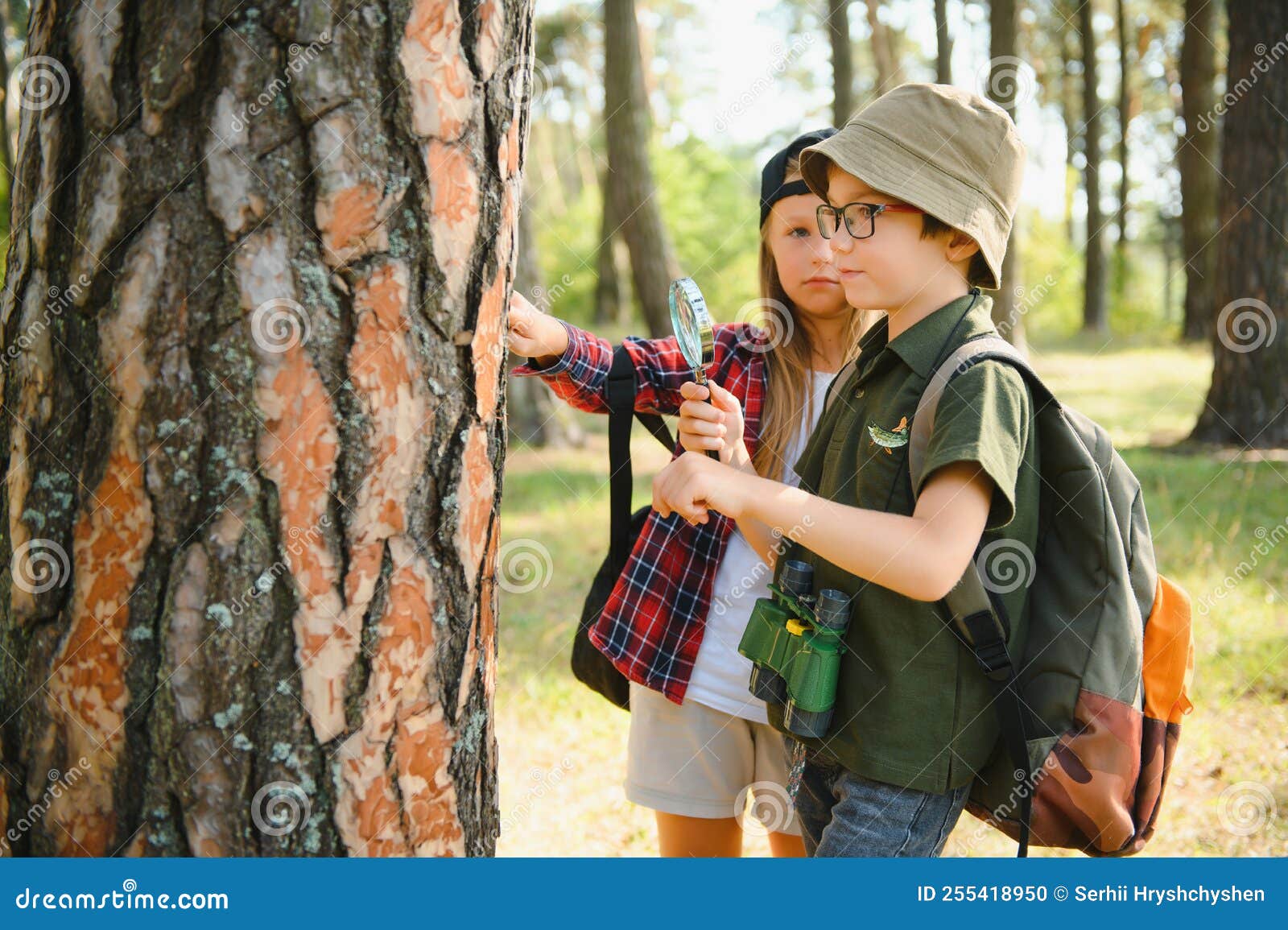 Kids scouts in the forest. stock photo. Image of sunlight - 255418950