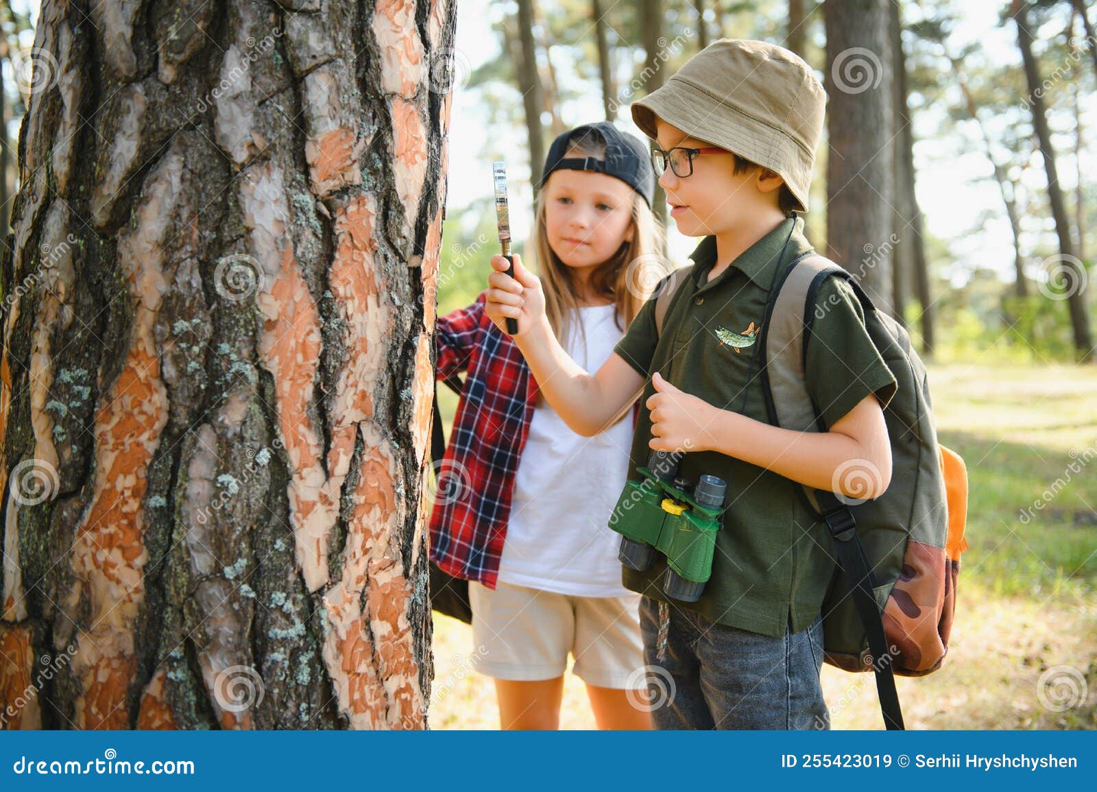 Kids scouts in the forest. stock image. Image of discovery - 255423019
