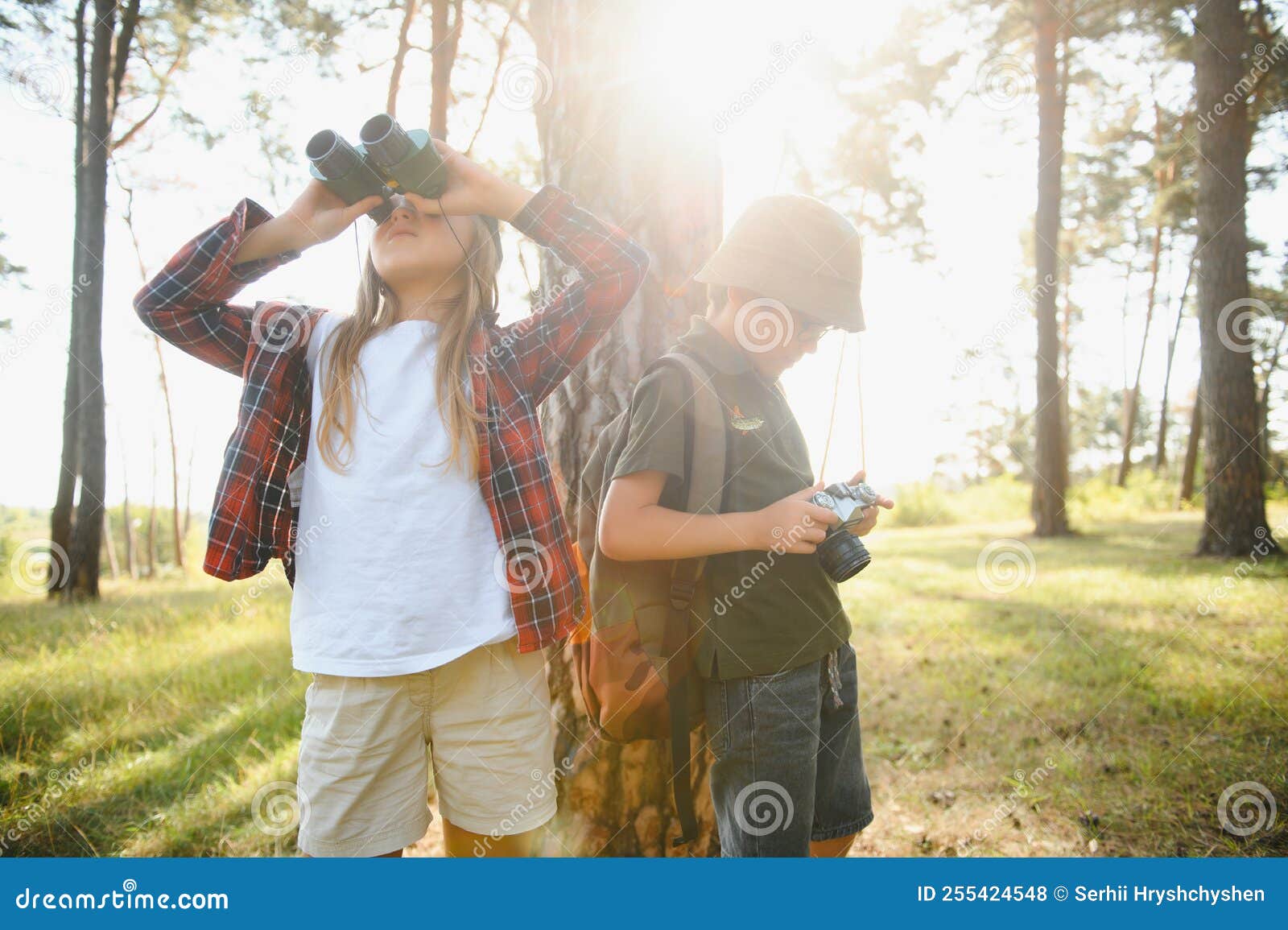 Kids scouts in the forest. stock photo. Image of sunlight - 255424548