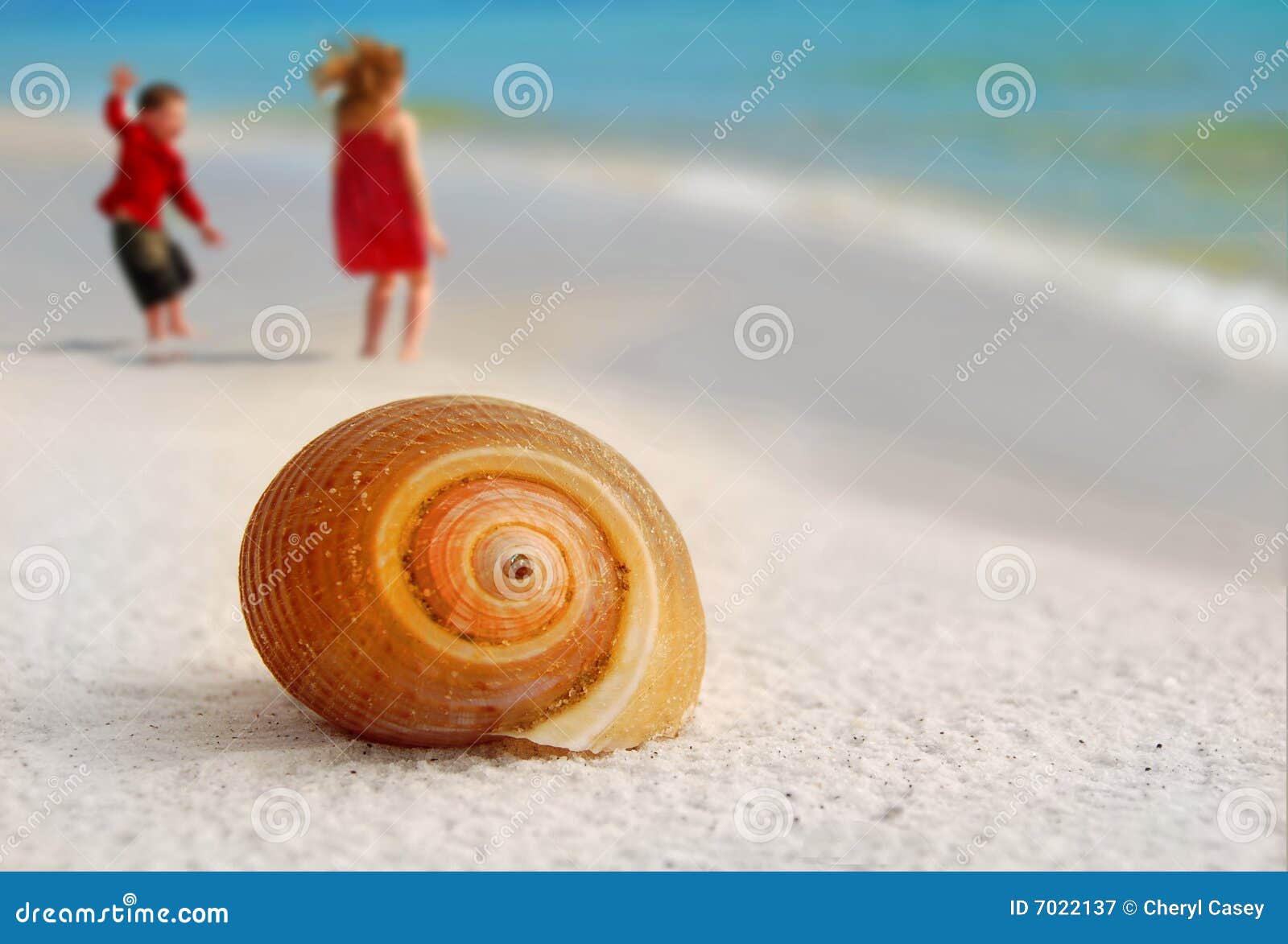 Kids by Seashell on Seashore Stock Image - Image of sand, carefree: 7022137