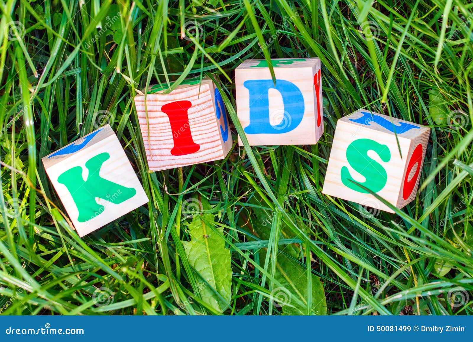 KIDS sign stock image. Image of school, english, kids - 50081499