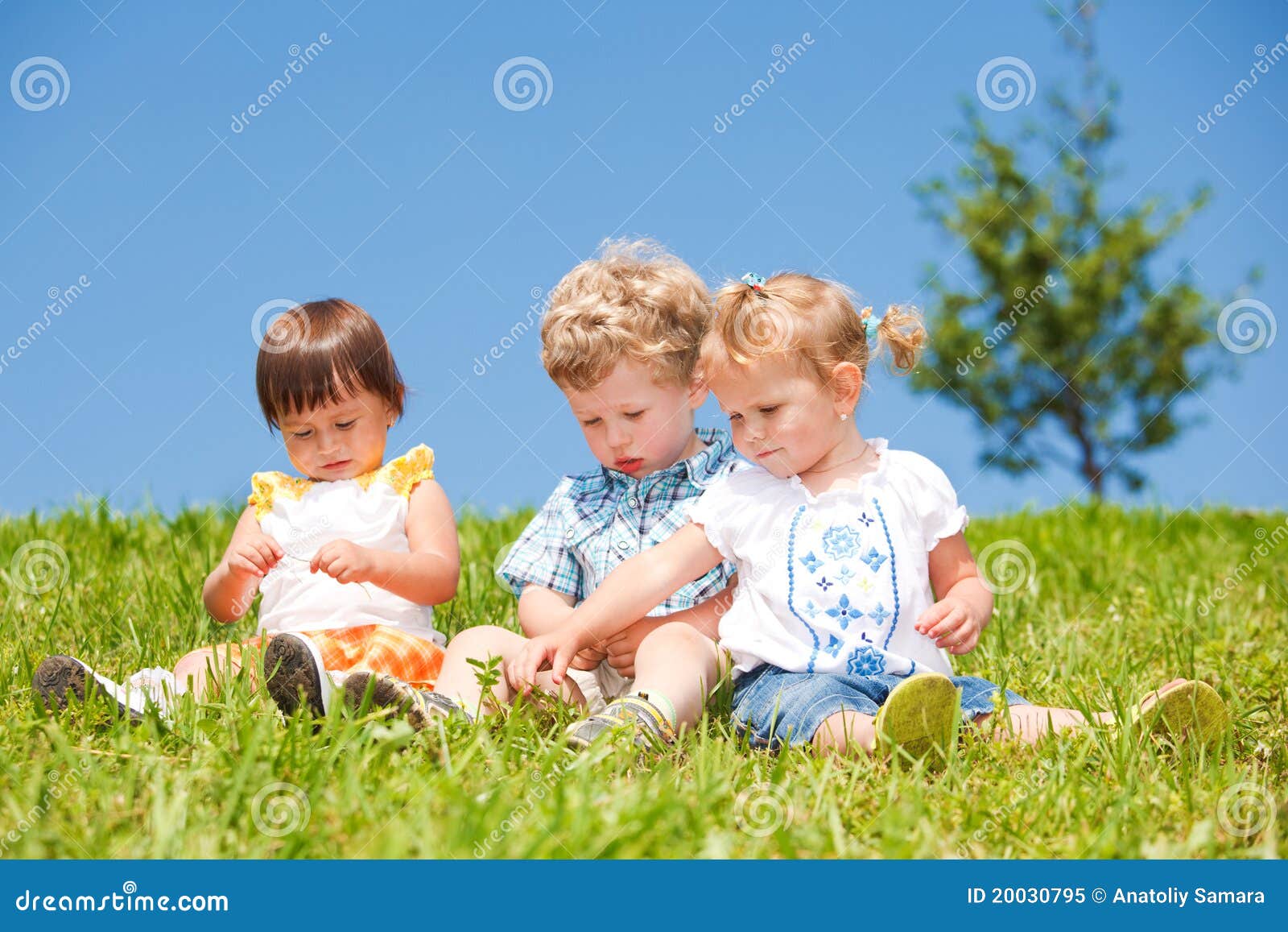 Kids sit on grass stock image. Image of outside, caucasian - 20030795
