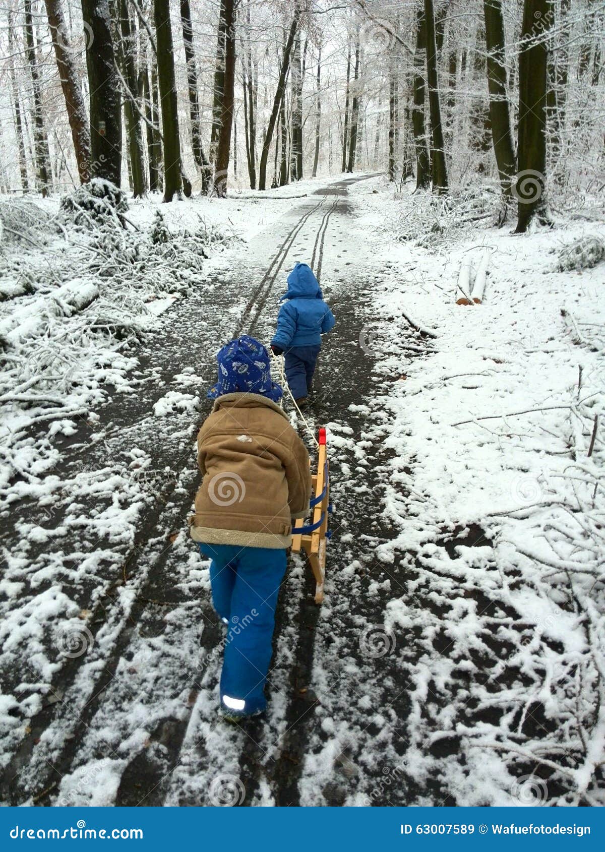 Kids with Sledge stock image. Image of woods, sled, season - 63007589