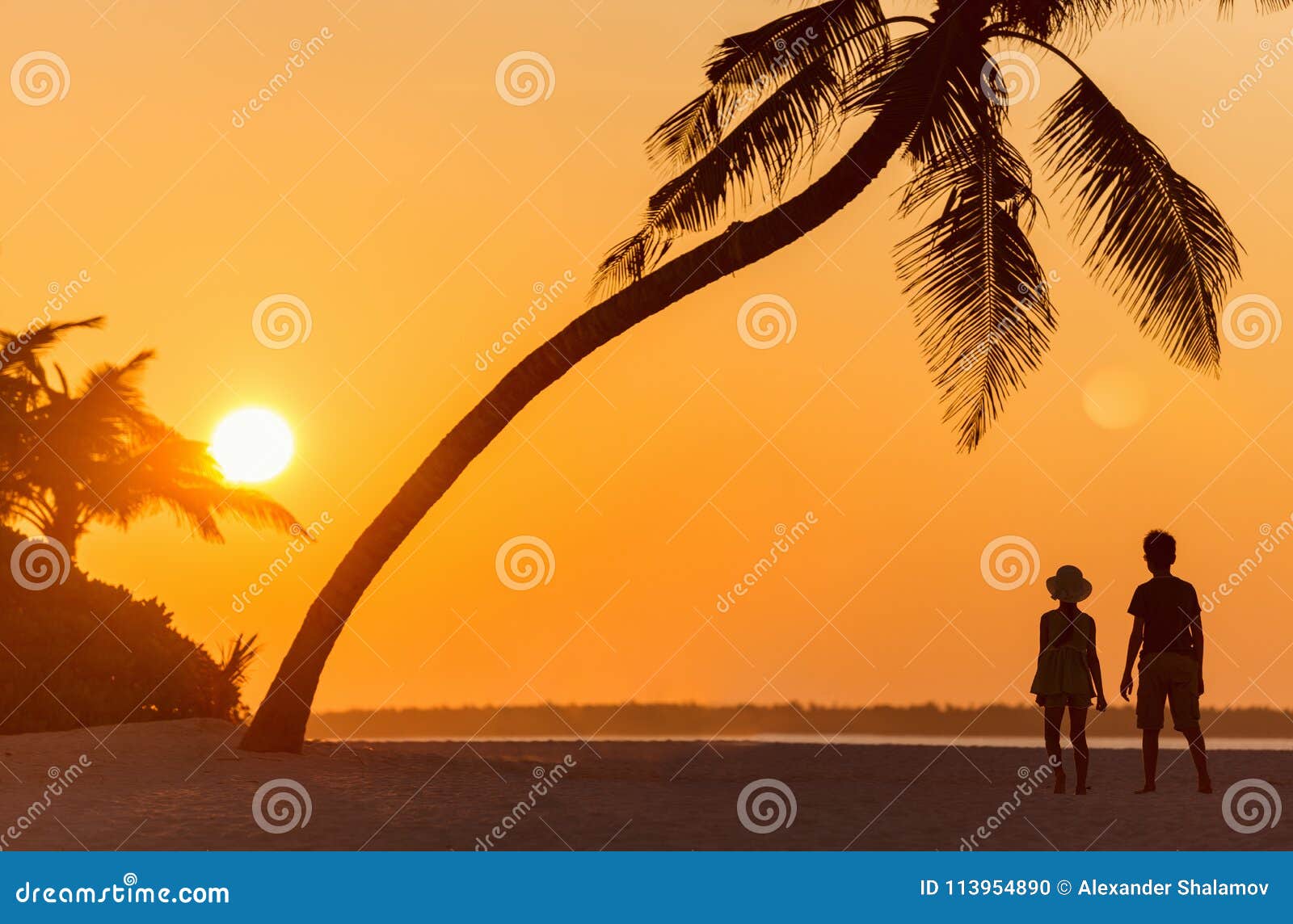 Kids at sunset stock photo. Image of parent, palmtree - 113954890