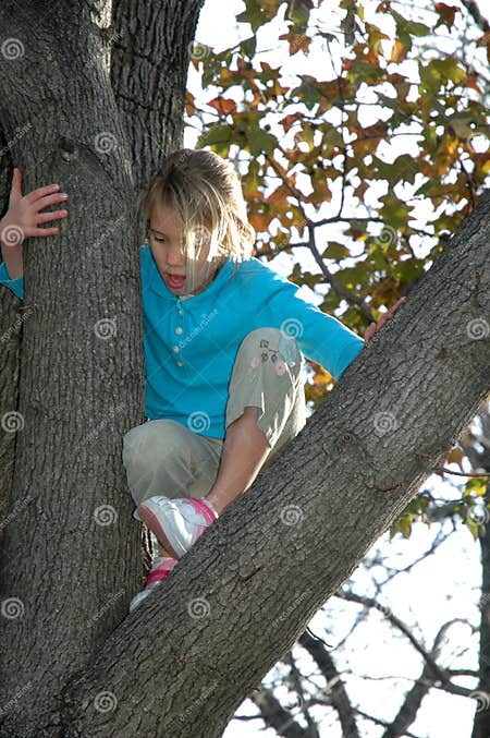 Kids in Trees stock image. Image of grass, environment - 1631025