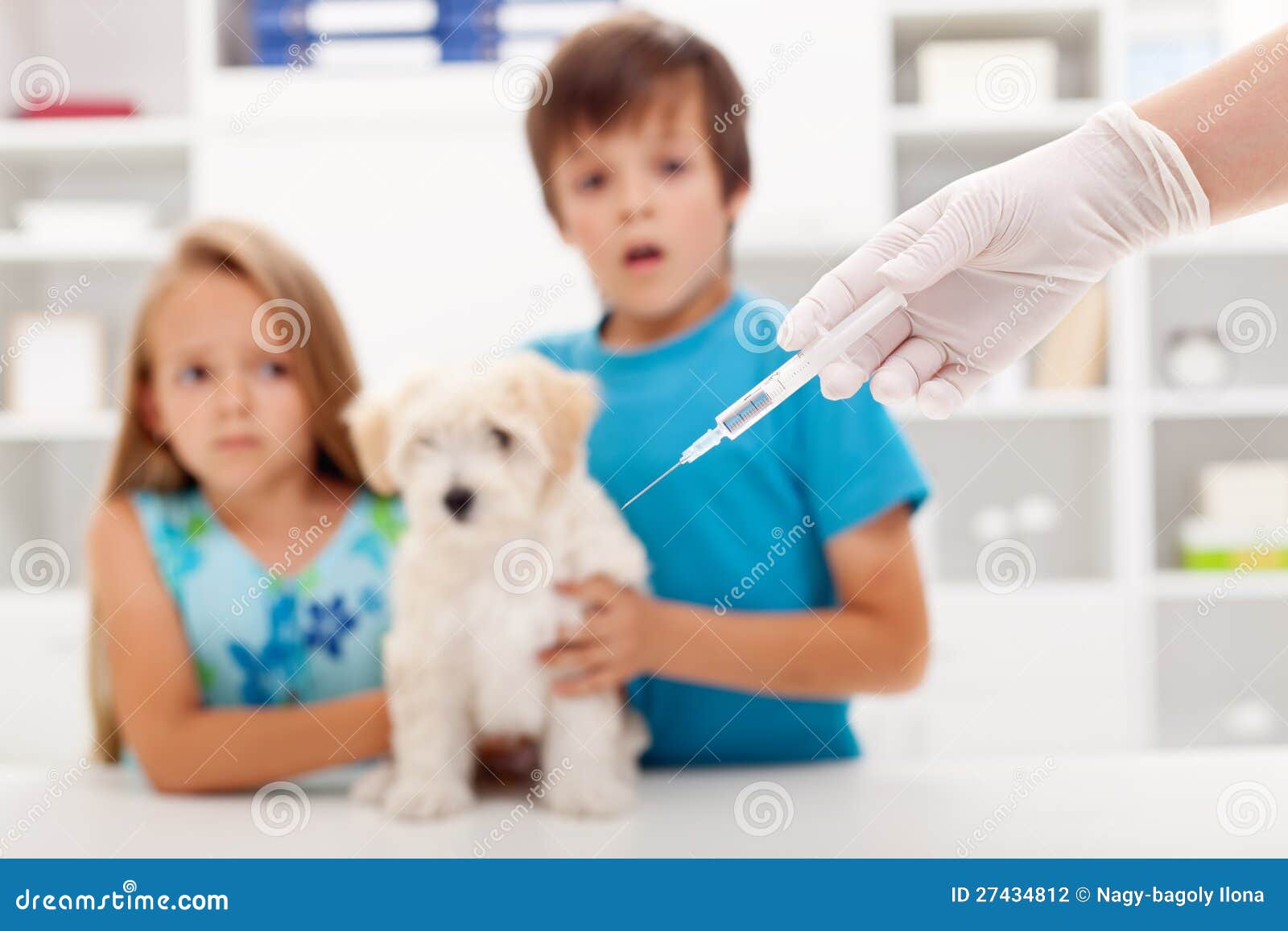 Kids at the Veterinary Doctor with Their Pet Stock Photo - Image of ...