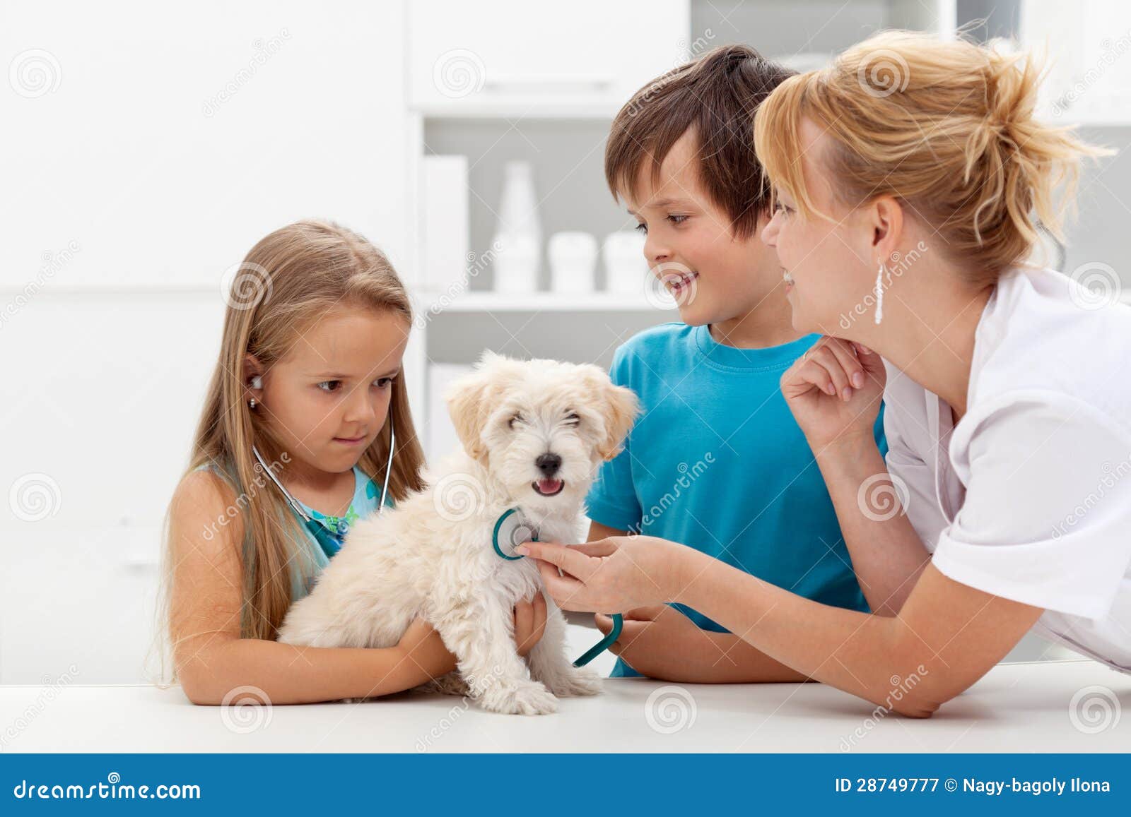 Kids at the Veterinary Doctor with Their Pet Stock Image - Image of ...