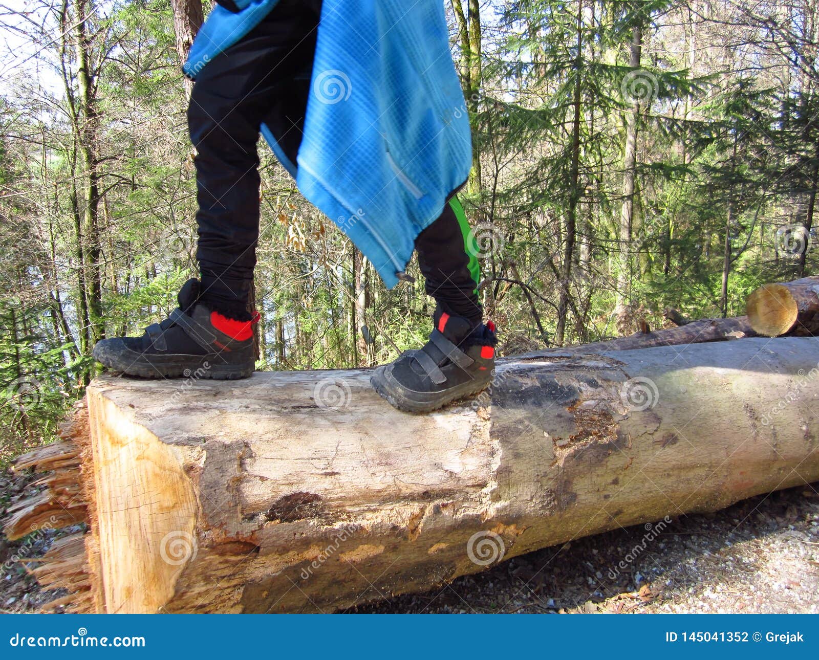 Kids Walking on Tree Trunks Stock Photo - Image of development, active ...