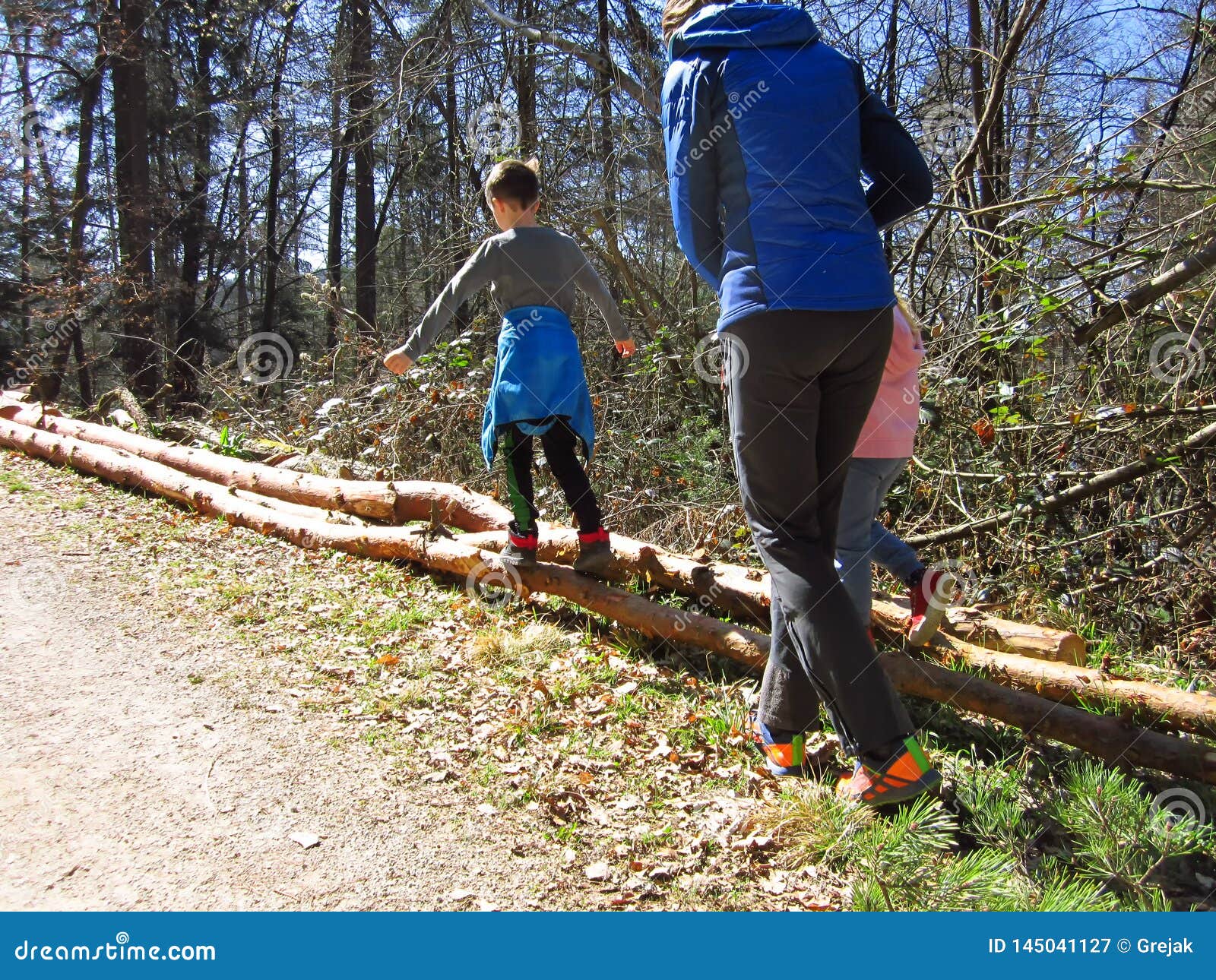 Kids Walking on Tree Trunks Stock Image - Image of girl, balance: 145041127