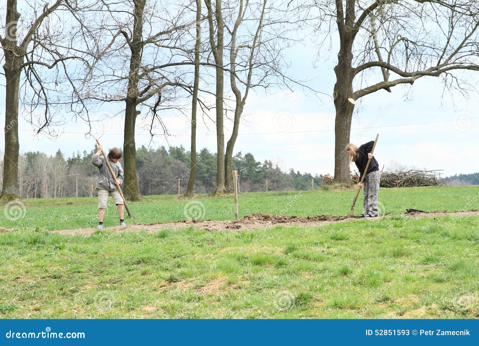 Kids working on the field stock image. Image of worker - 52851593
