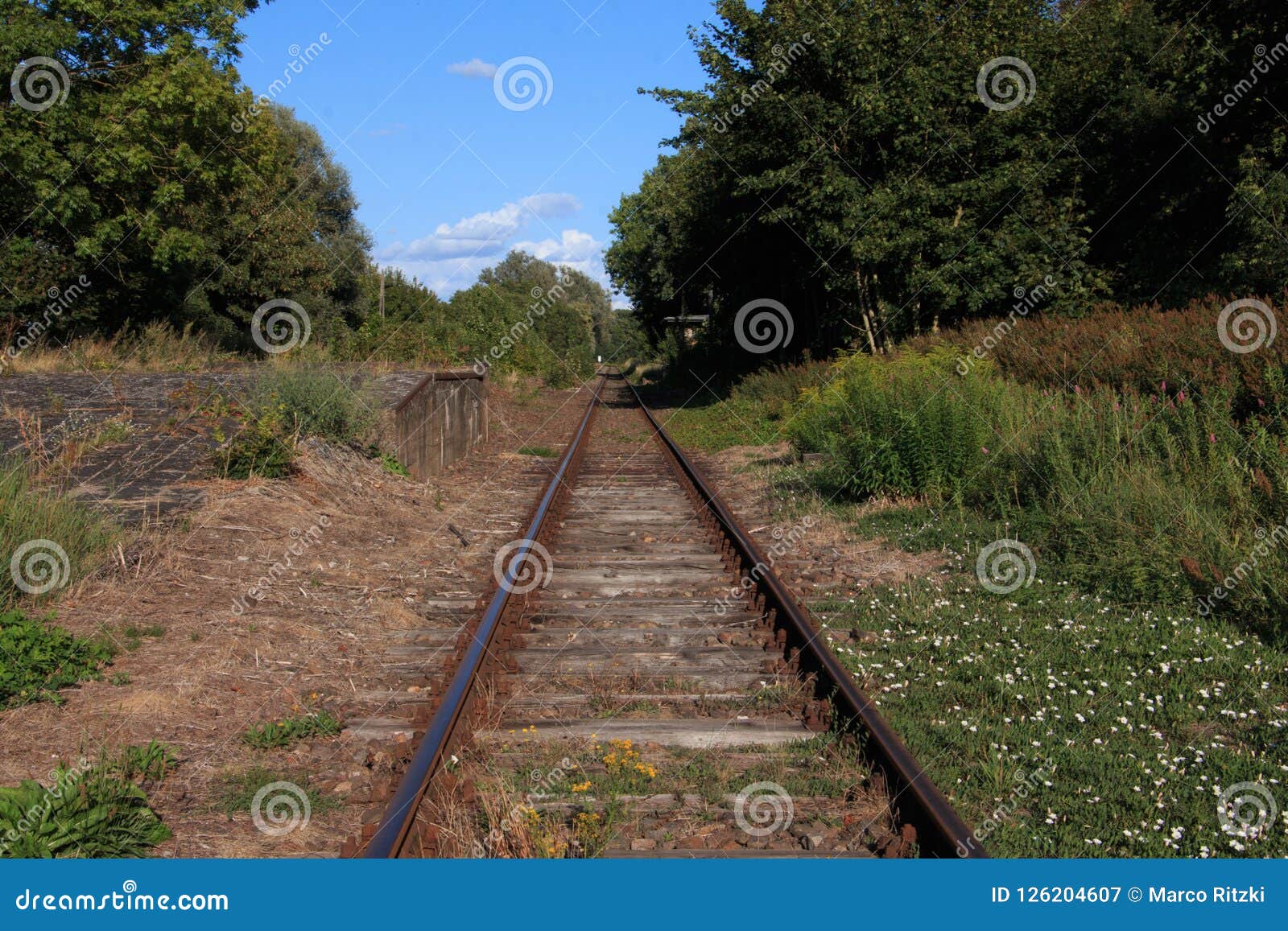 Kies Treinspoor Op Verloren Trainstation Uit Stock Afbeelding - Image ...