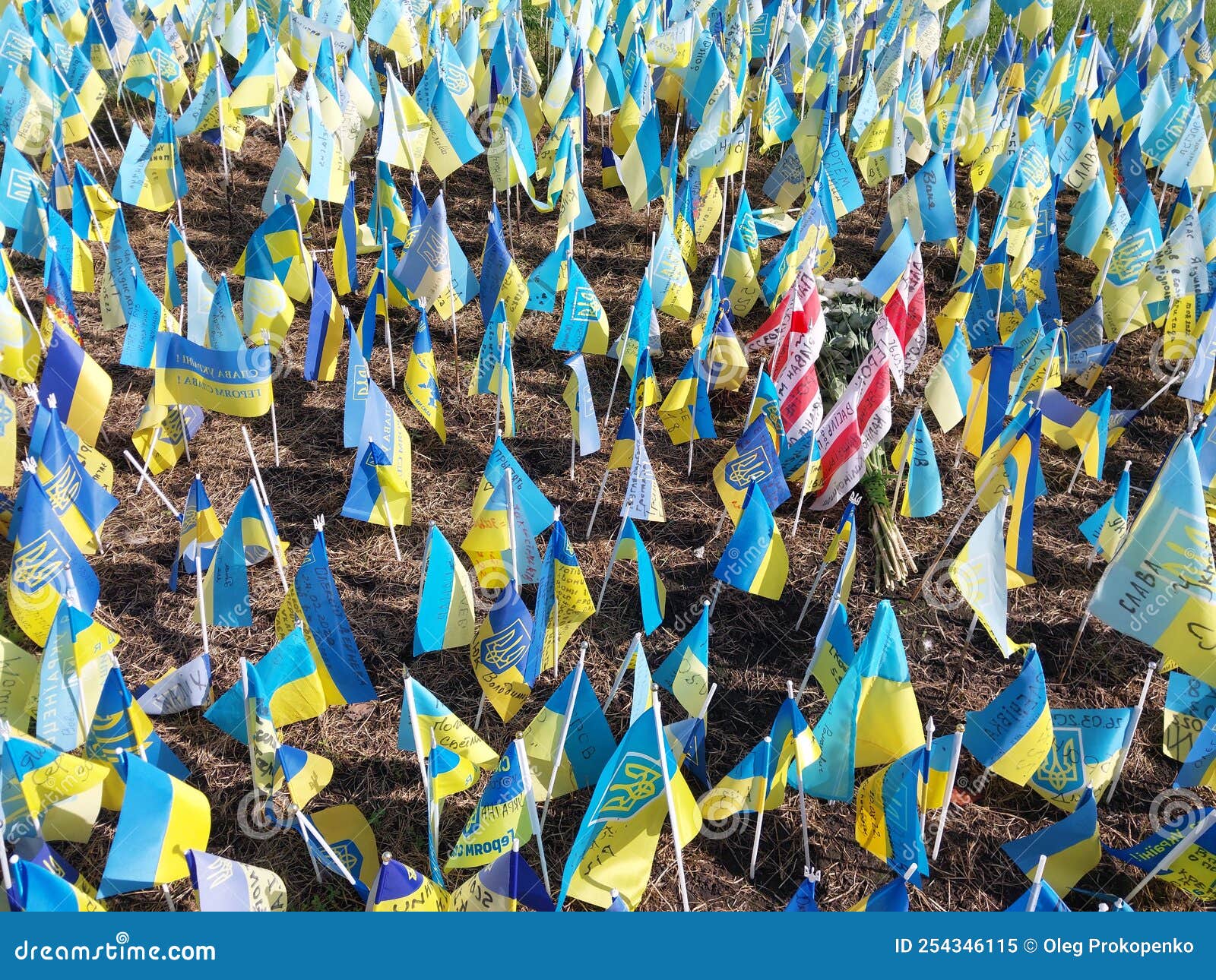 KIEV, UKRAINE - AUGUST 23, 2022: Field of Small Flags Editorial Image ...