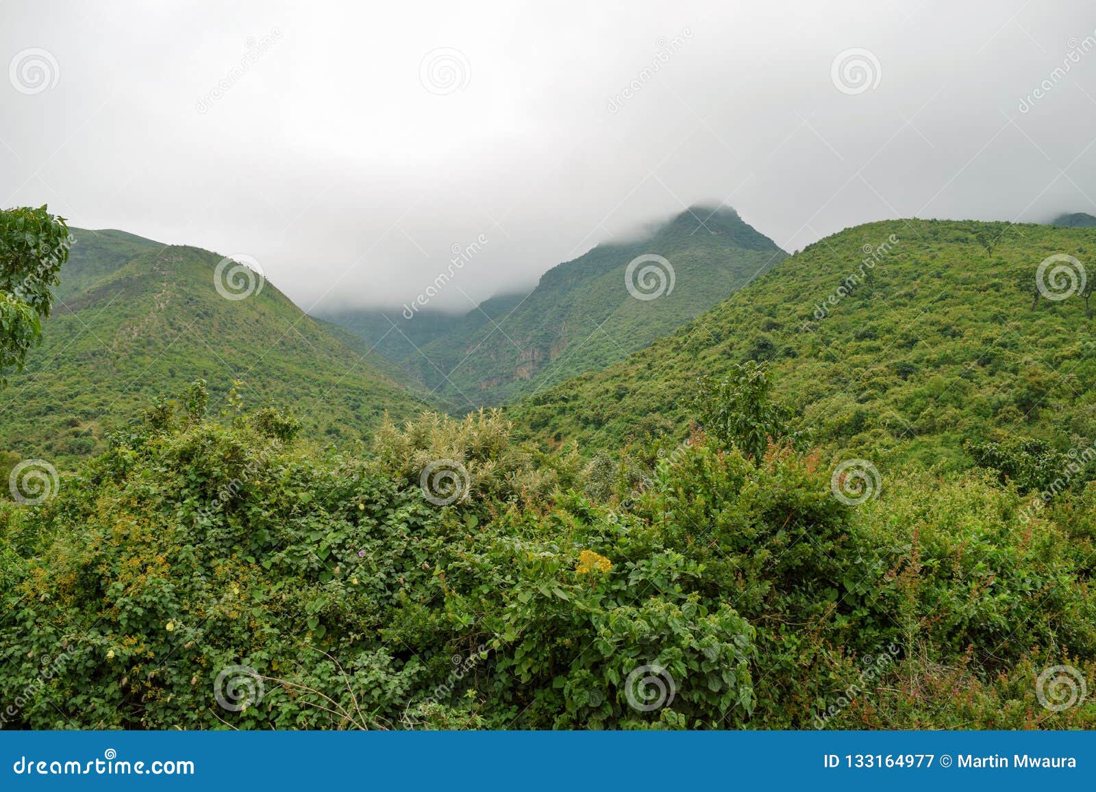 Kijabe Kullar I Kikuyubrant Sluttning, Kenya Fotografering för ...