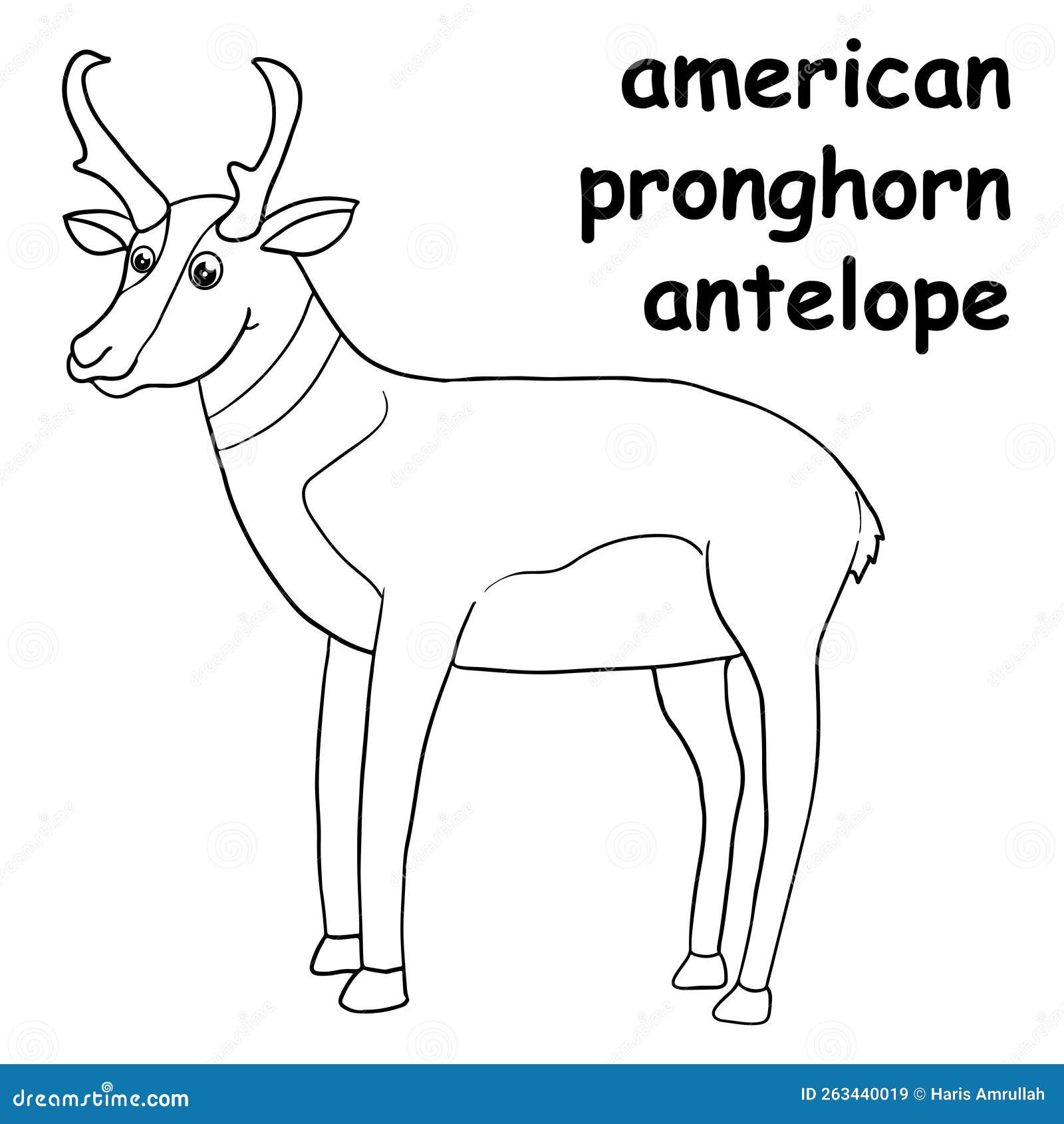 Kids Line Illustration Coloring American Pronghorn Antelope. Animal ...