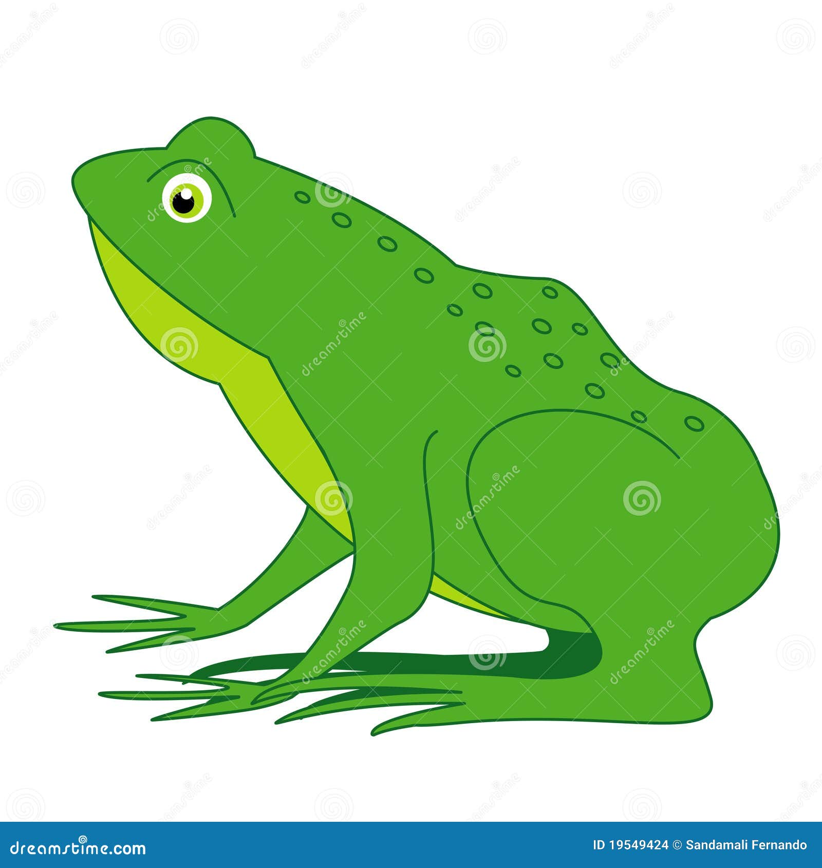 Kikker vector illustratie. Illustration of grafisch, dier - 19549424