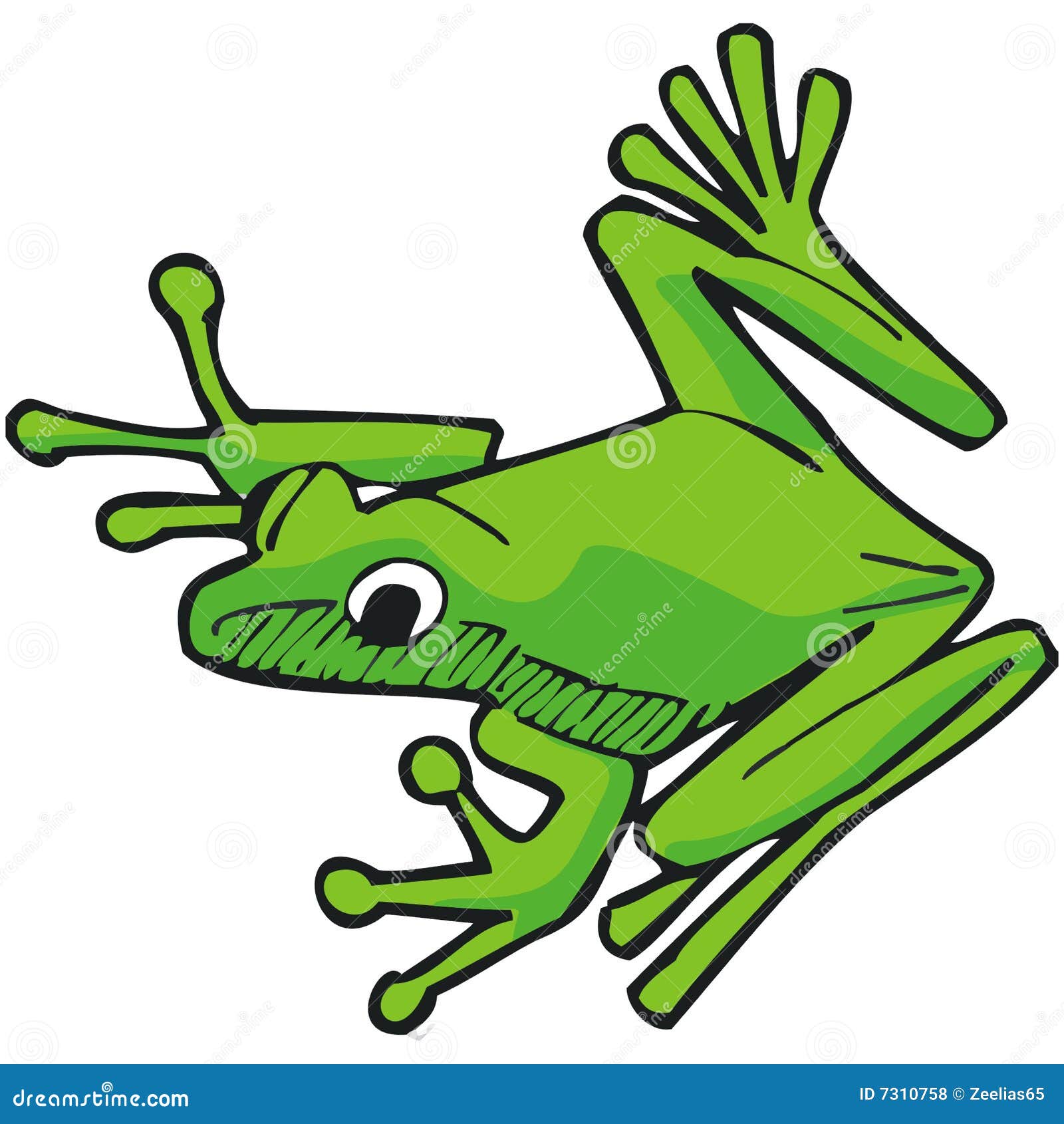 Kikker vector illustratie. Illustration of wild, moeras - 7310758