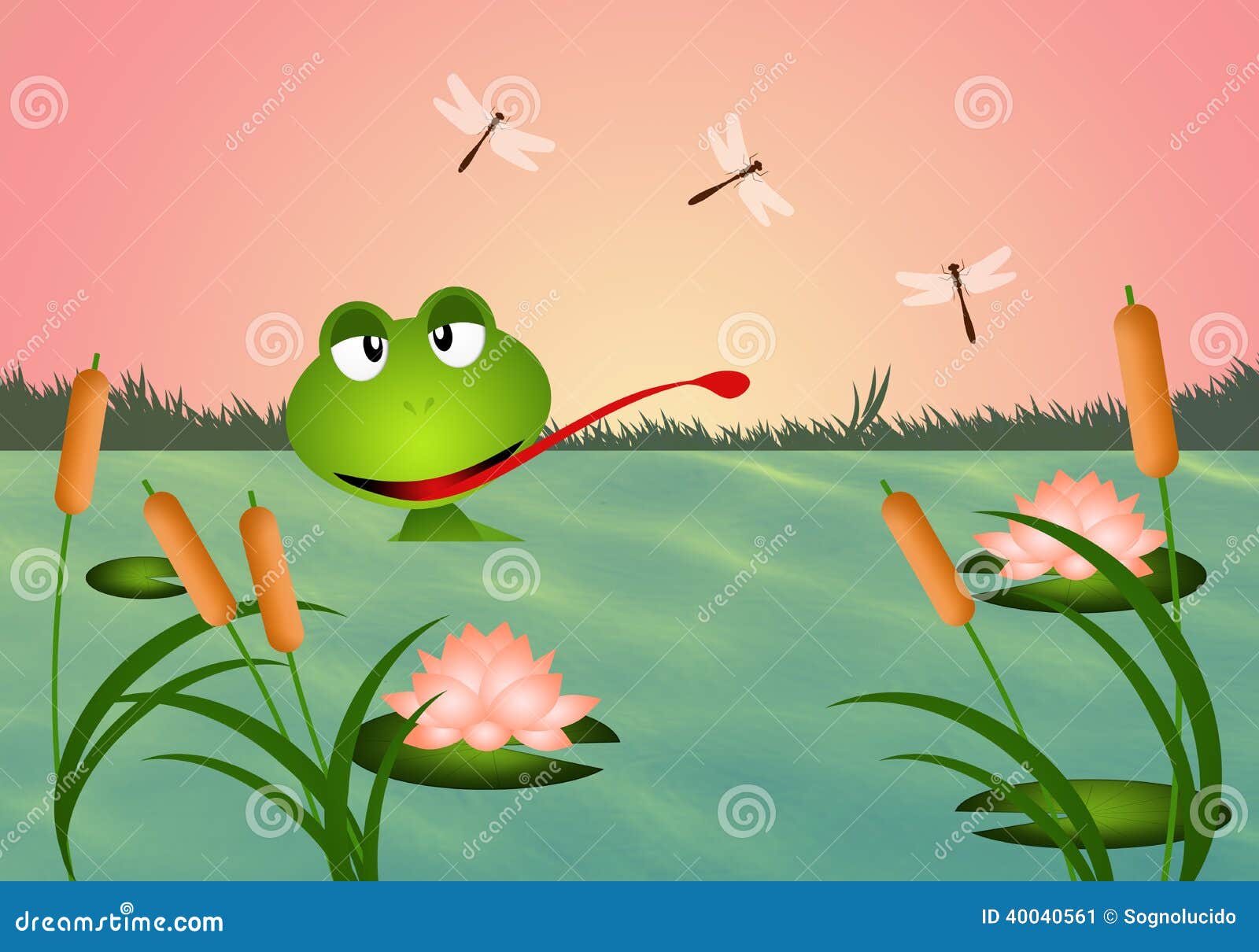 Kikker in de vijver stock illustratie. Illustration of illustratie ...