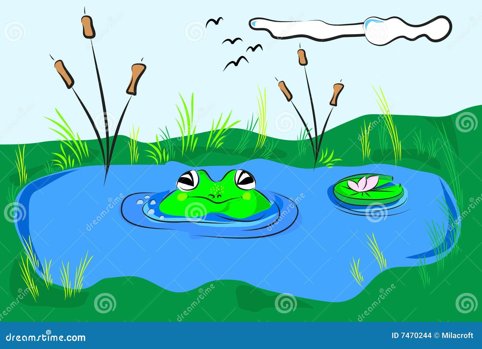 Kikker in de vijver vector illustratie. Illustration of toneel - 7470244