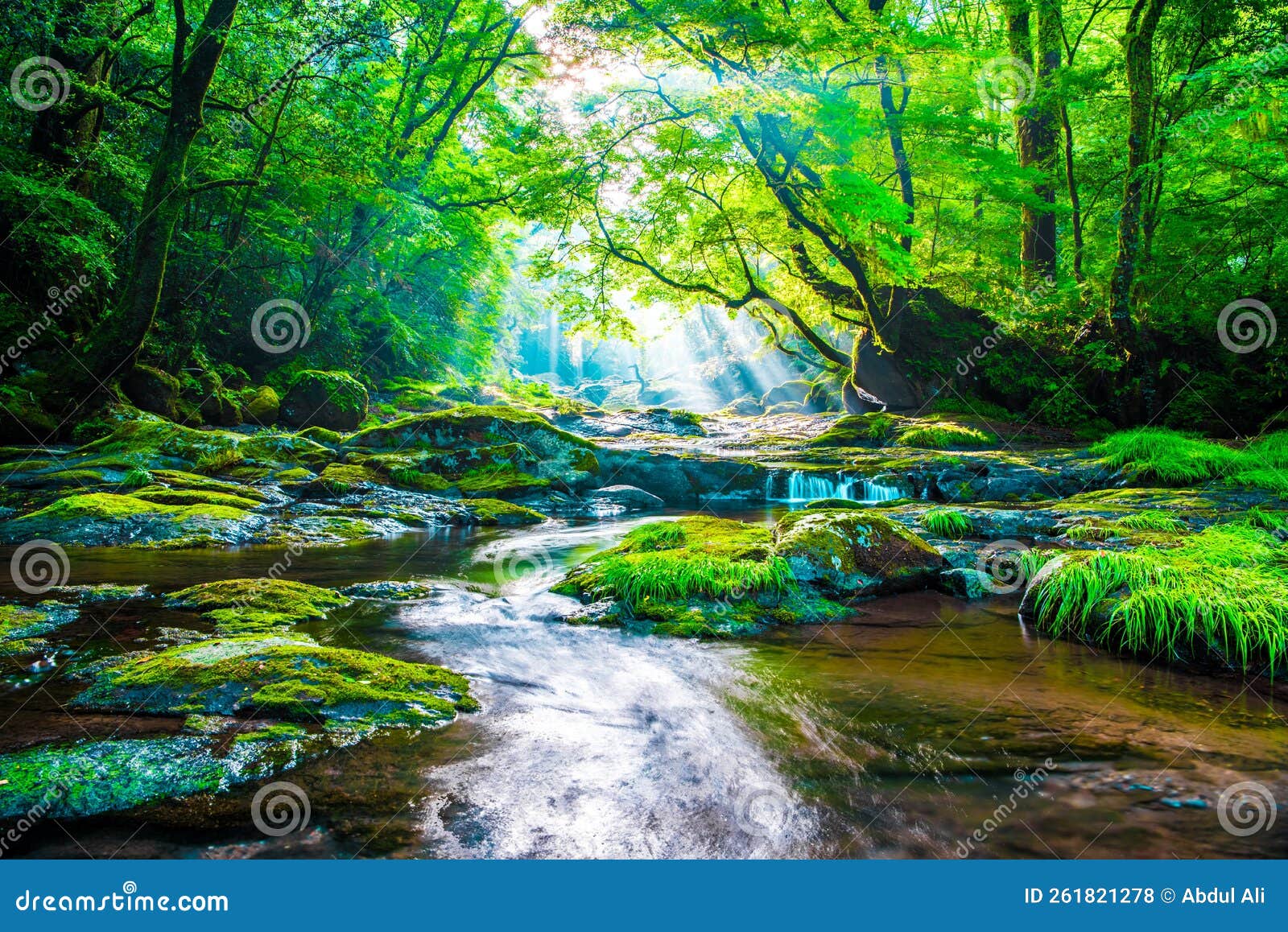 Kikuchi Valley, Waterfall and Ray in Forest, Japan Stock Photo - Image ...