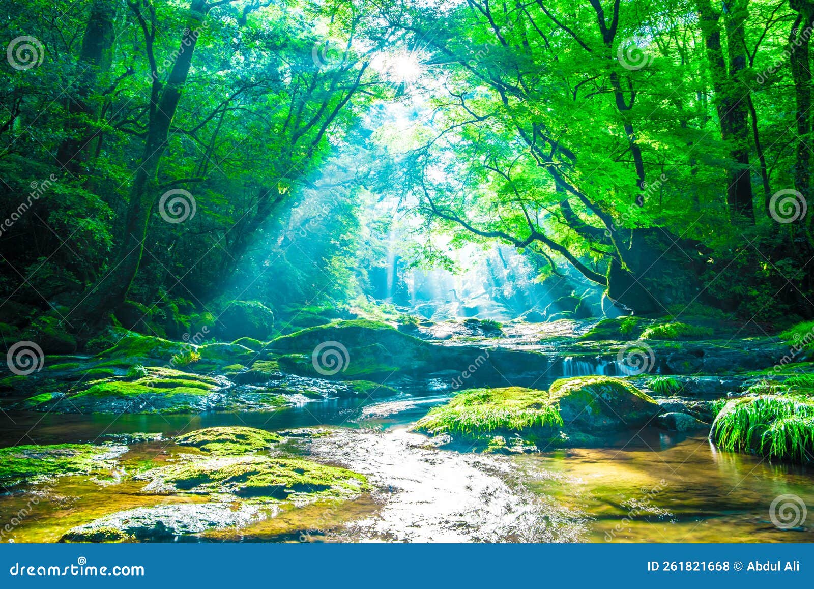Kikuchi Valley, Waterfall and Ray in Forest, Japan Stock Photo - Image ...