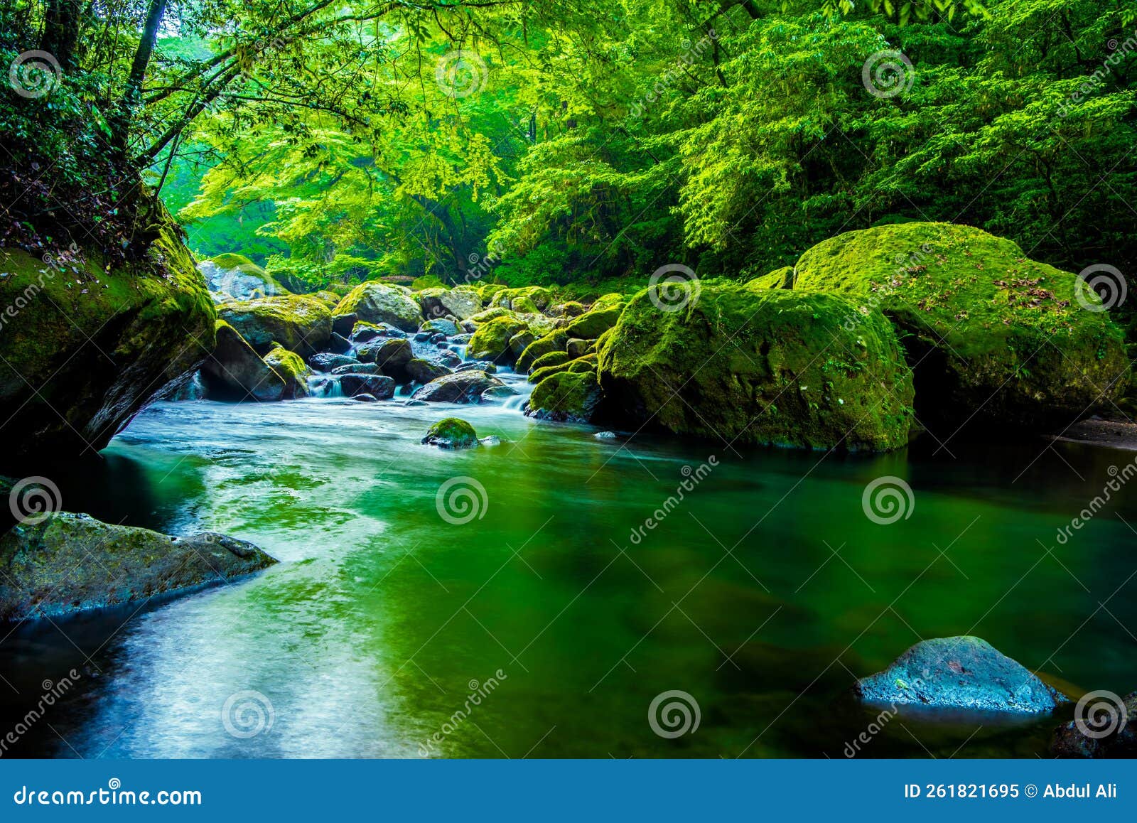 Kikuchi Valley, Waterfall and Ray in Forest, Japan Stock Image - Image ...