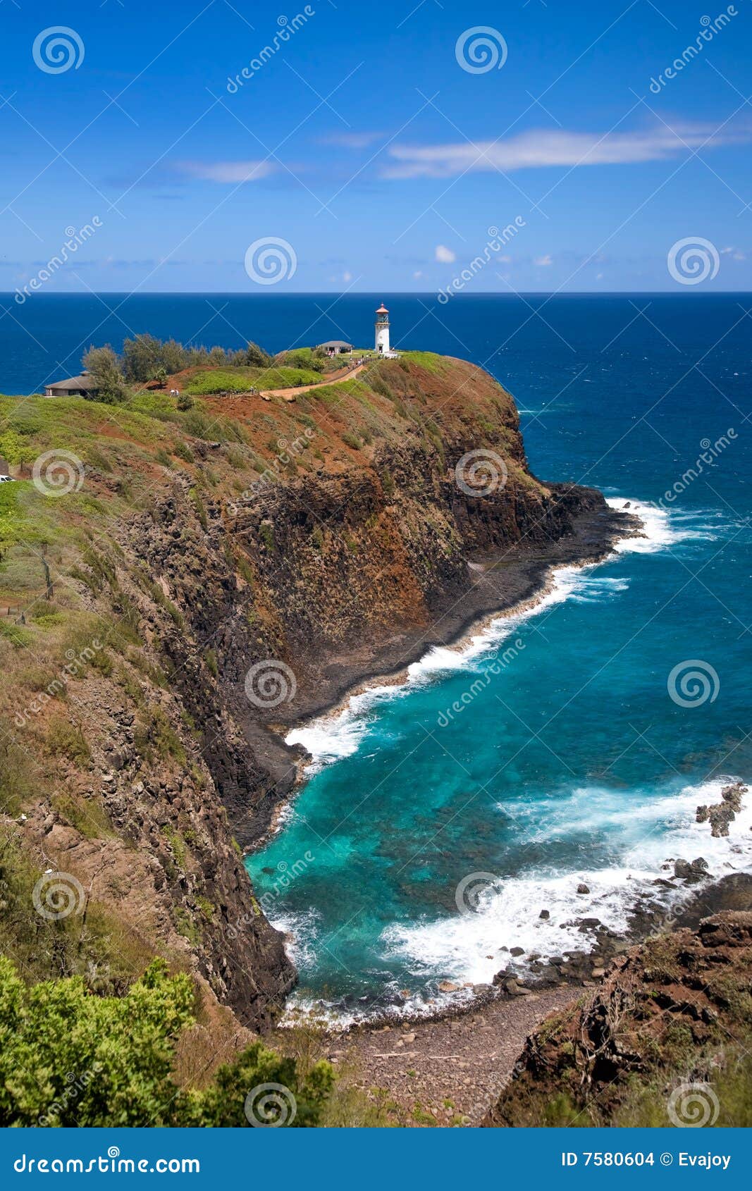 Kilauea Point, Kauai, Hawaii Stock Photo - Image of pacific ...