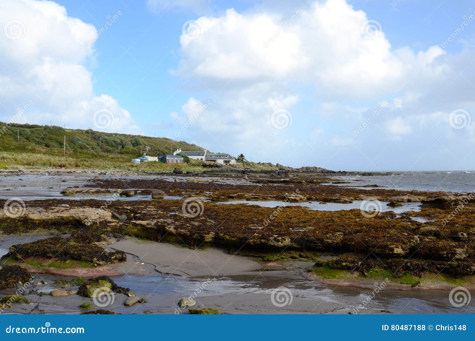 Kildonan Beach, Isle of Arran Stock Photo - Image of coast, arran: 80487188