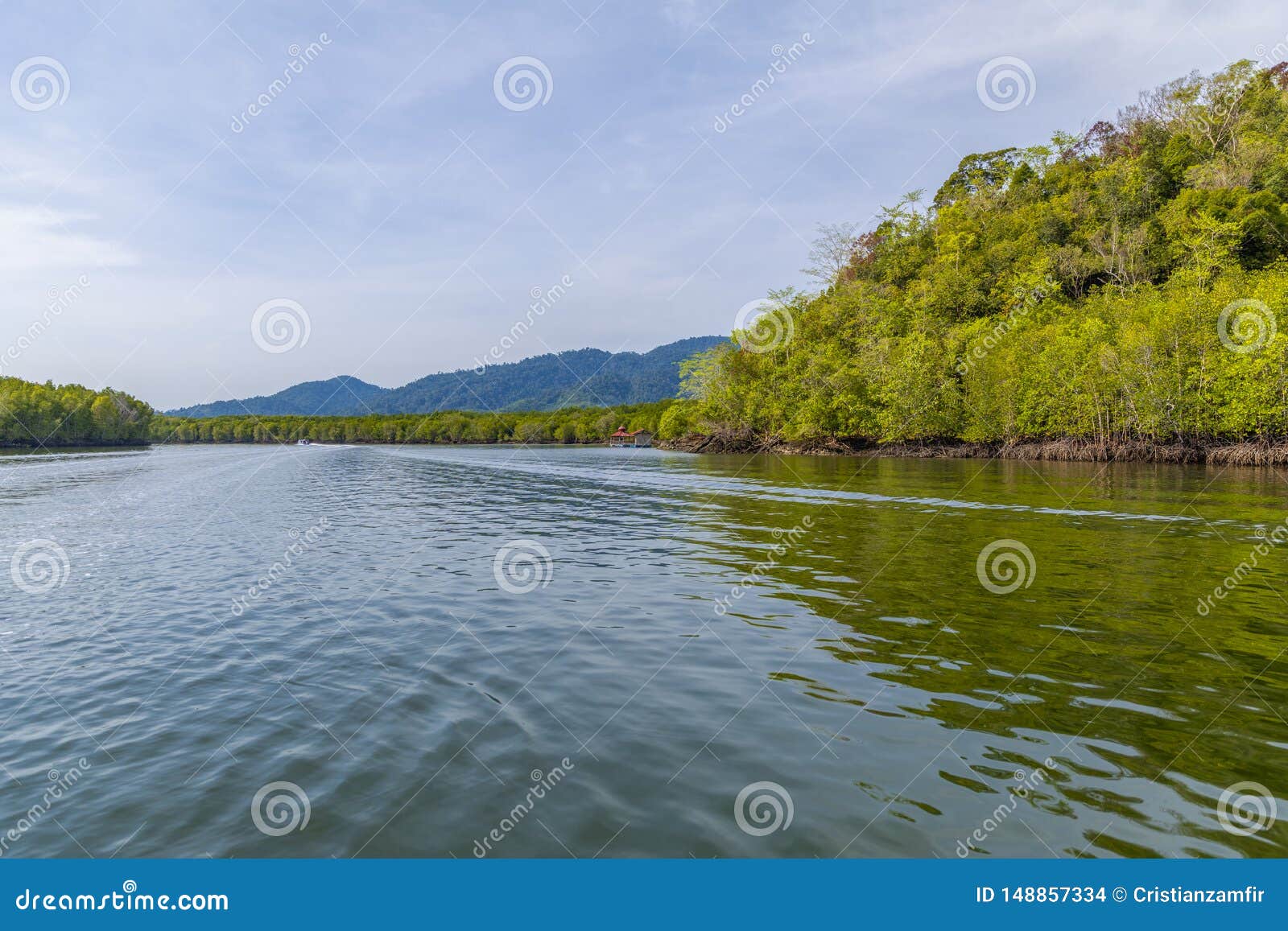 Kilim Geoforest Park, Langkawi Stock Photo - Image of geology, jungle ...