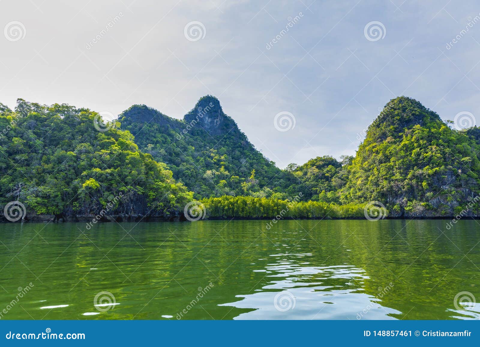 Kilim Geoforest Park, Langkawi Stock Image - Image of ecology, ocean ...