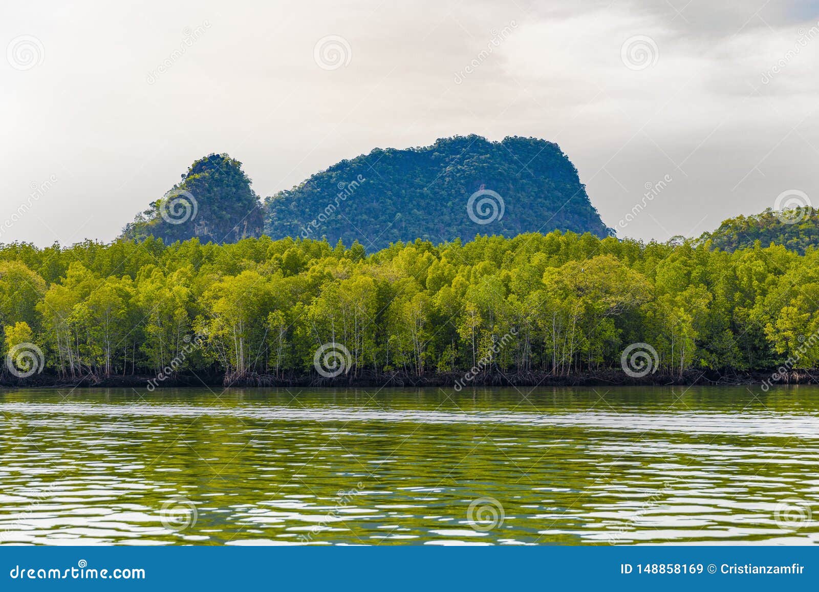 Kilim Geoforest Park, Langkawi Stock Image - Image of langkawi, island ...