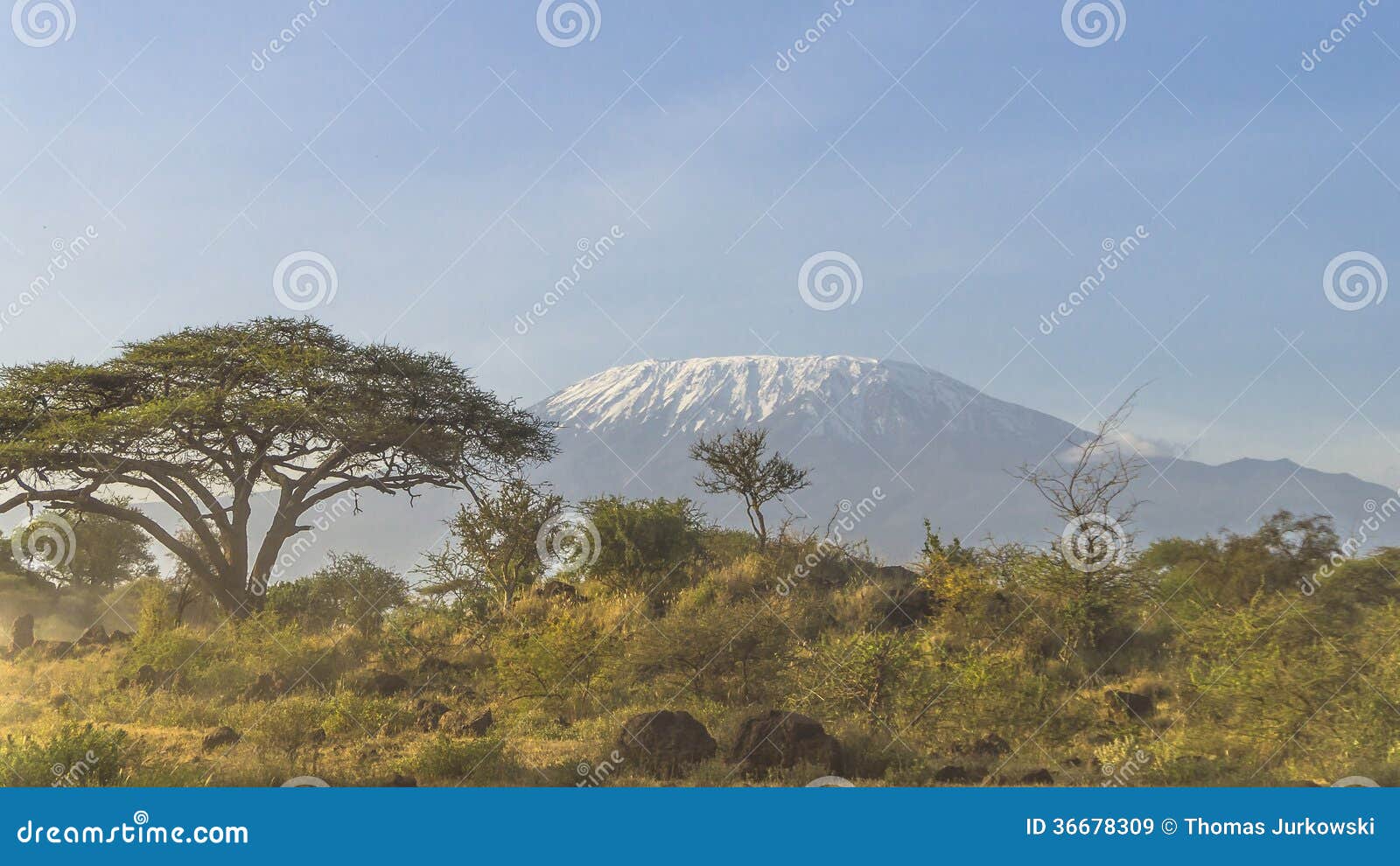 Kilimanjaro in Kenya stock image. Image of kenya, blue - 36678309