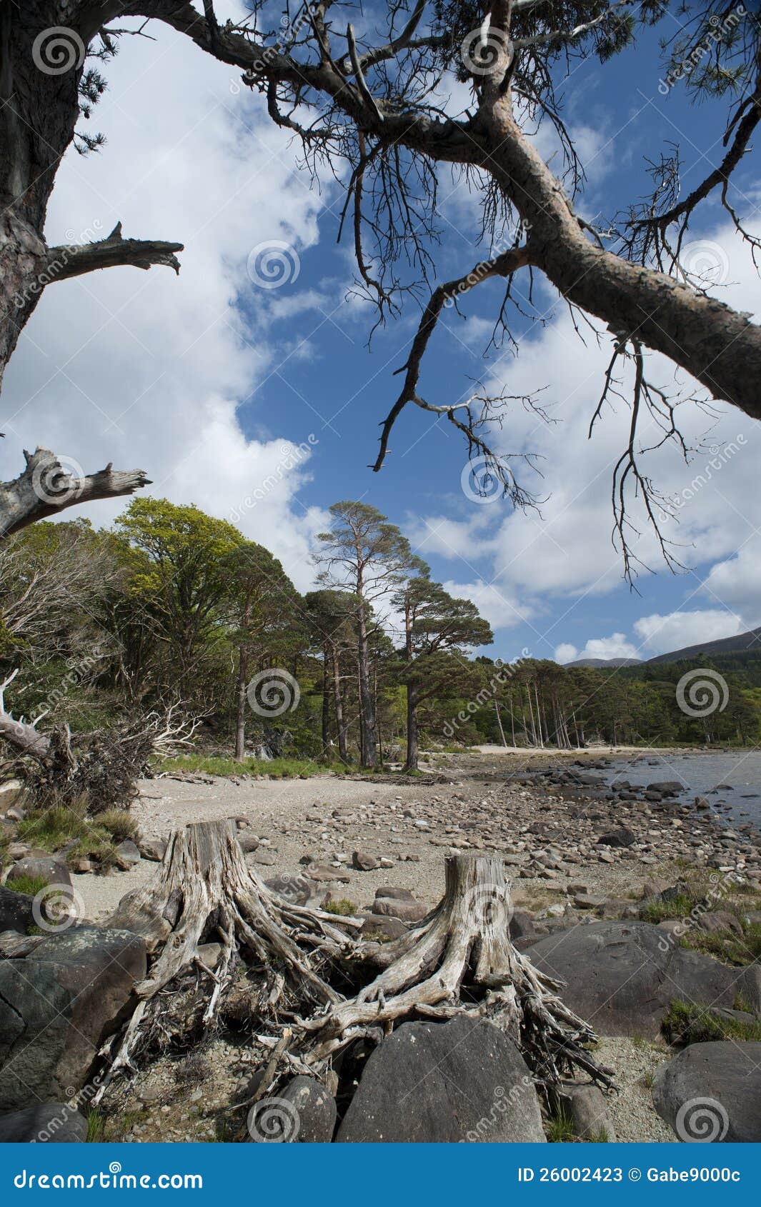 Killarney National Park 003 Stock Image - Image of killarney, landscape ...