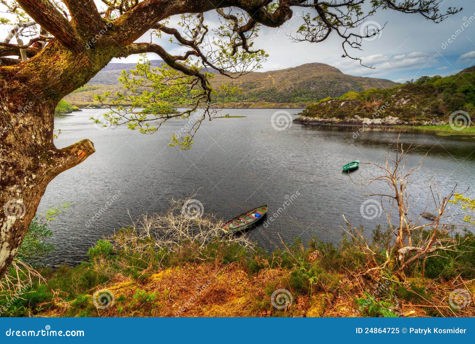 Killarney National Park stock image. Image of county - 24864725
